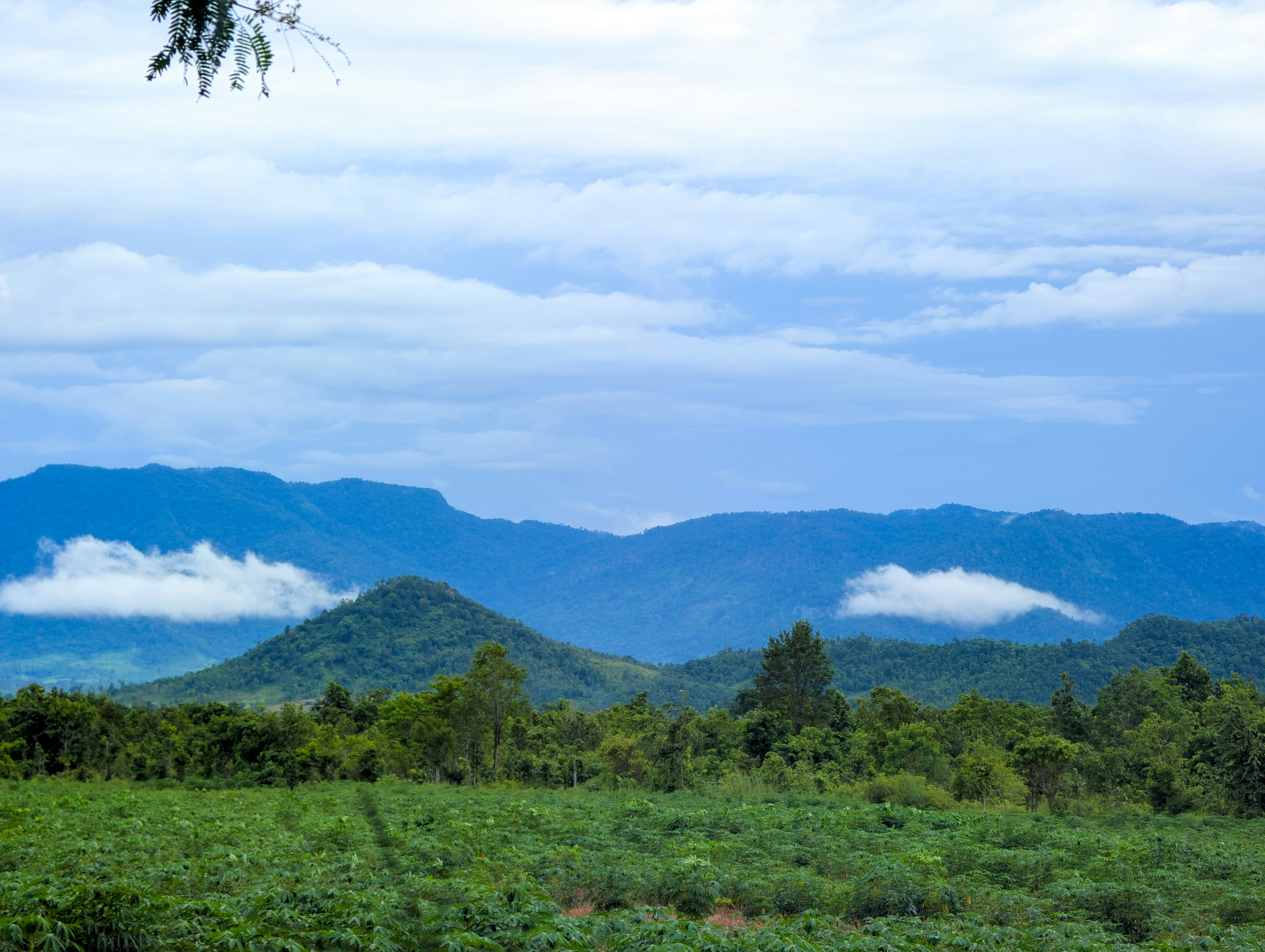 Horizon Veil: Rolling Green Fields Meet Misty Blue Mountains
