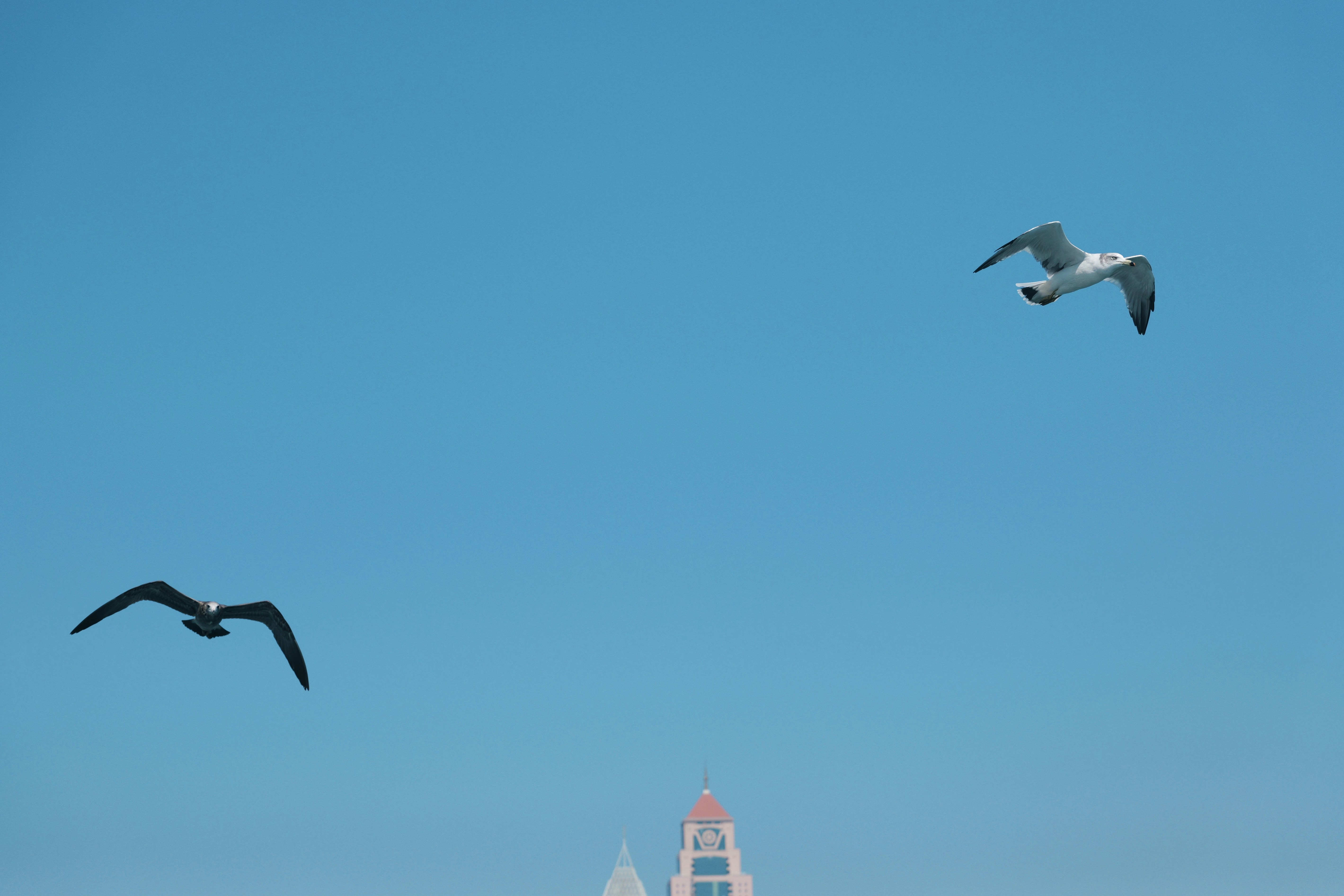 High Flight Over a Quiet City