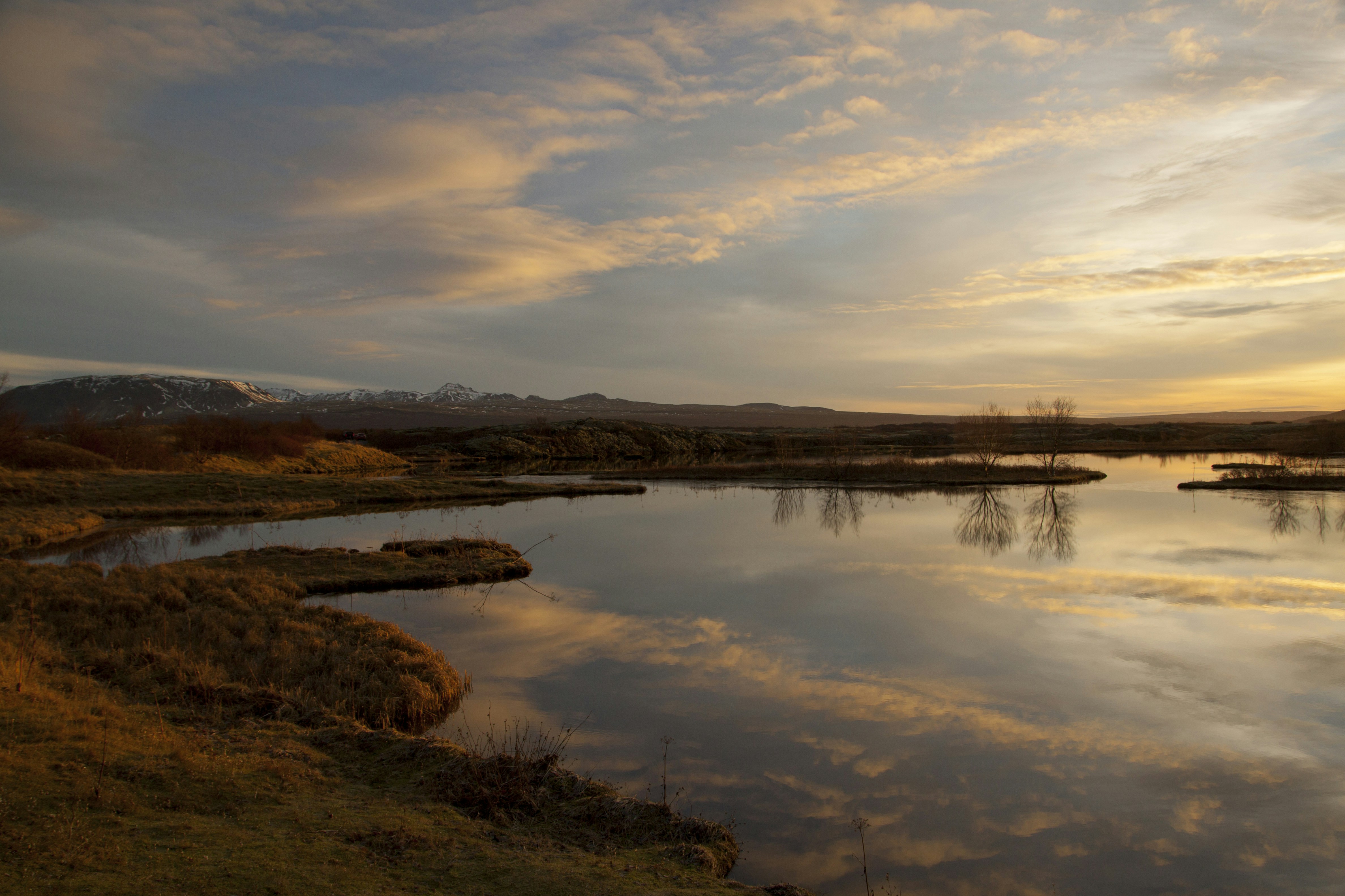 Horizon Echoes: A Quiet Luminous Wetland at Sunset