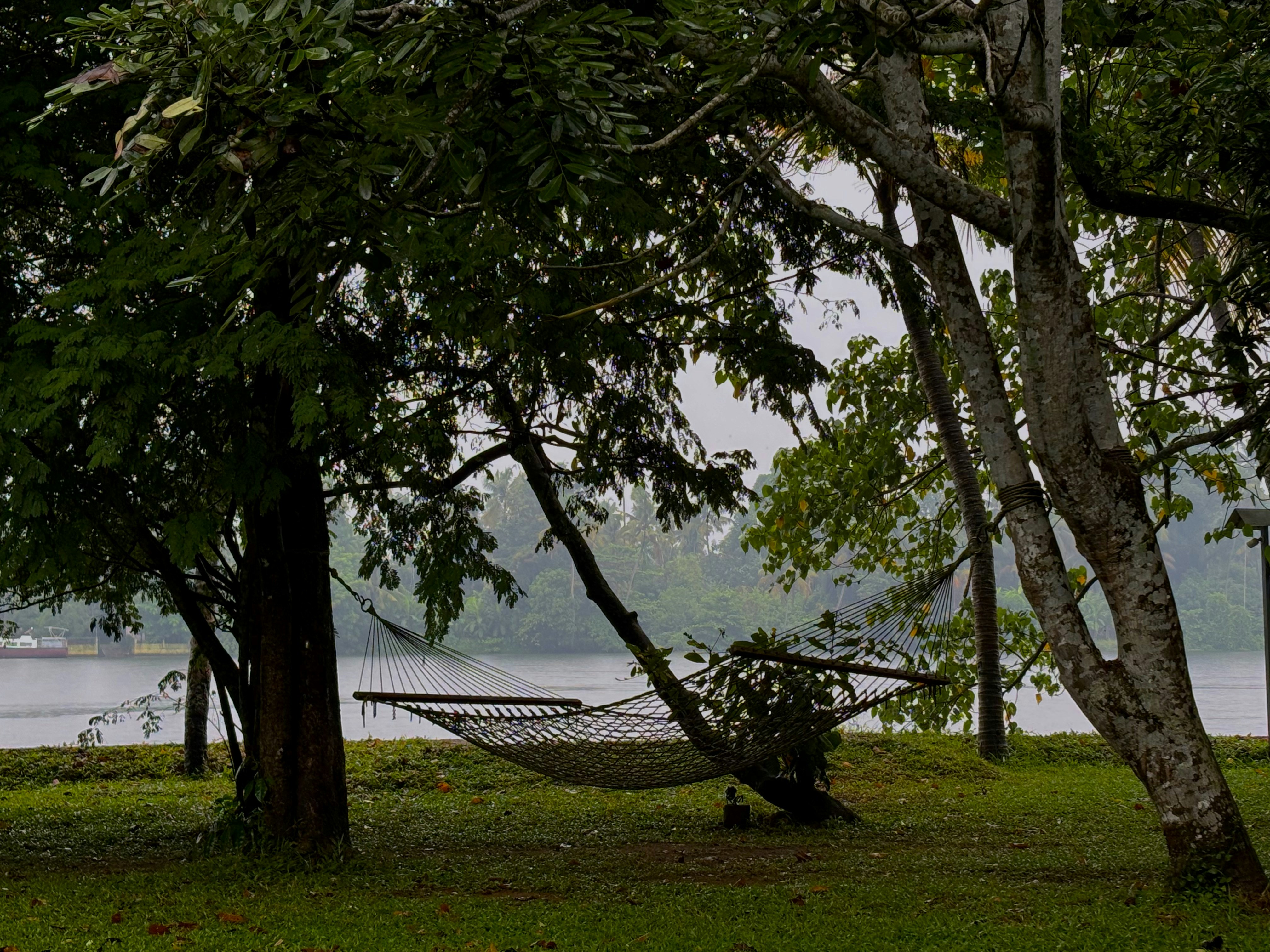 A tranquil lakeside scene with a hammock suspended between trees along a grassy bank; a distant shoreline and misty water beyond. This is a natural, outdoor photograph capturing a peaceful moment near dusk.