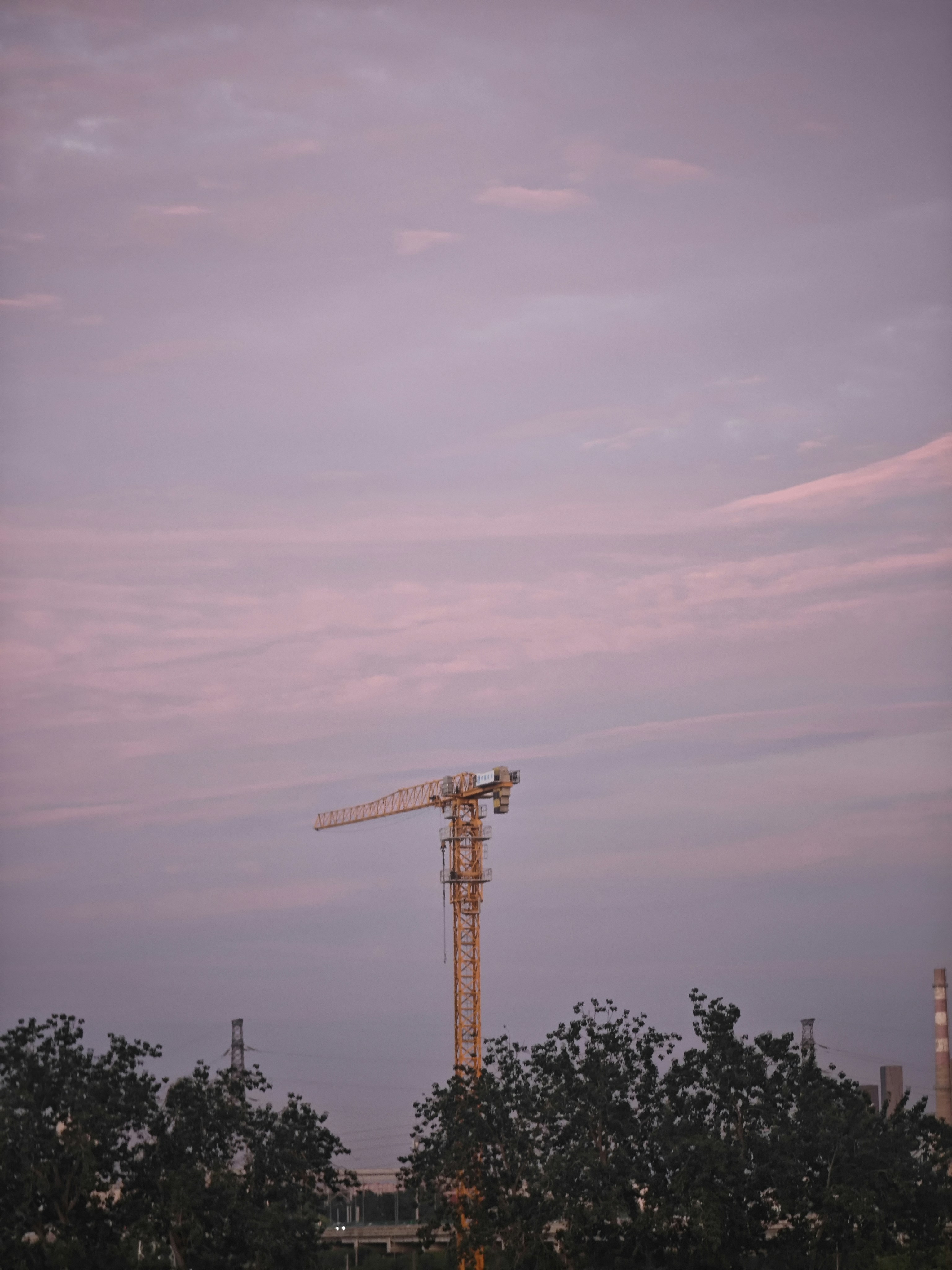 Crane Silhouette Against a Pink Dusk Sky