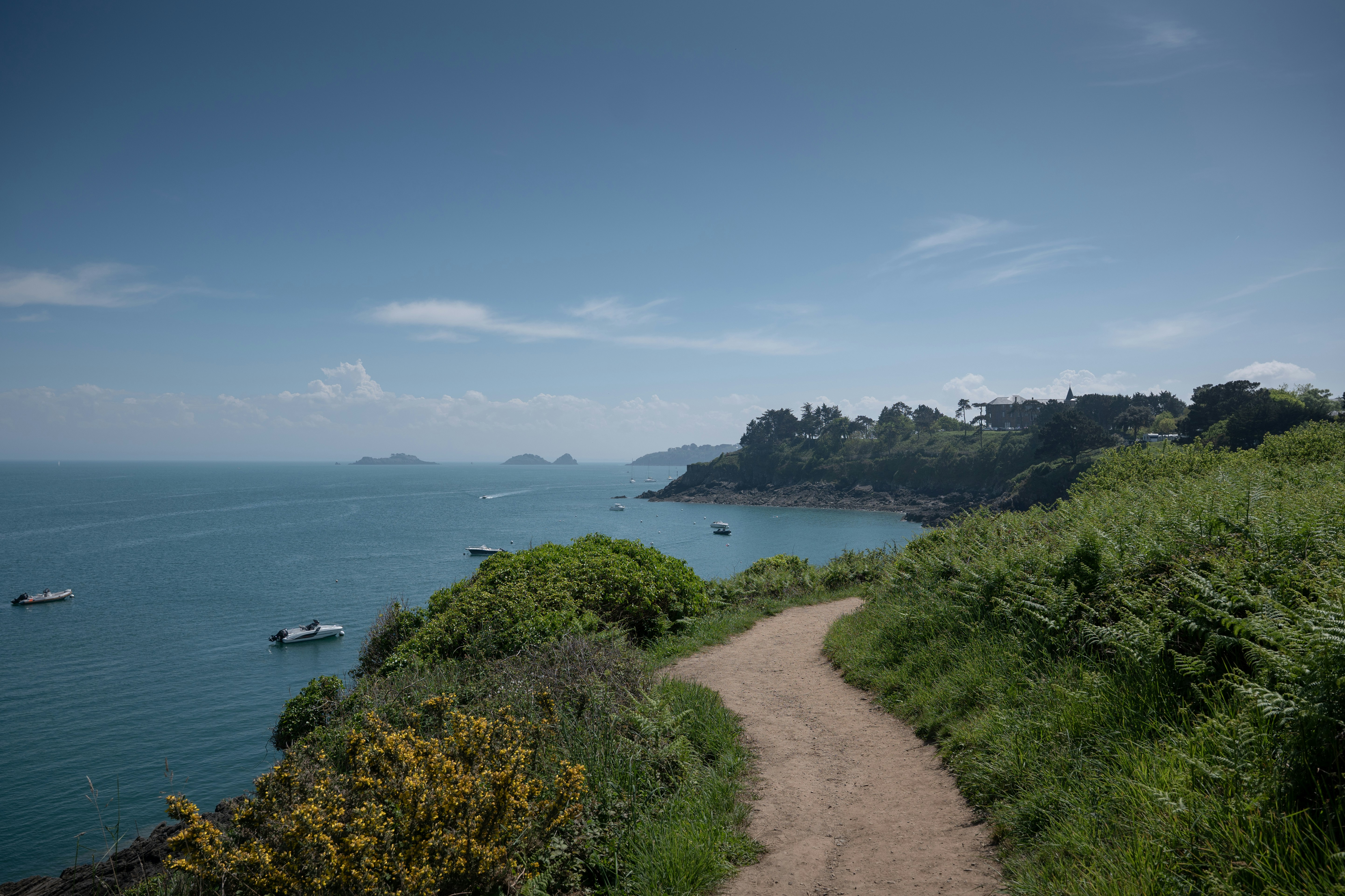 Trail to the Sea: Coastal Path Framing a Quiet Horizon
