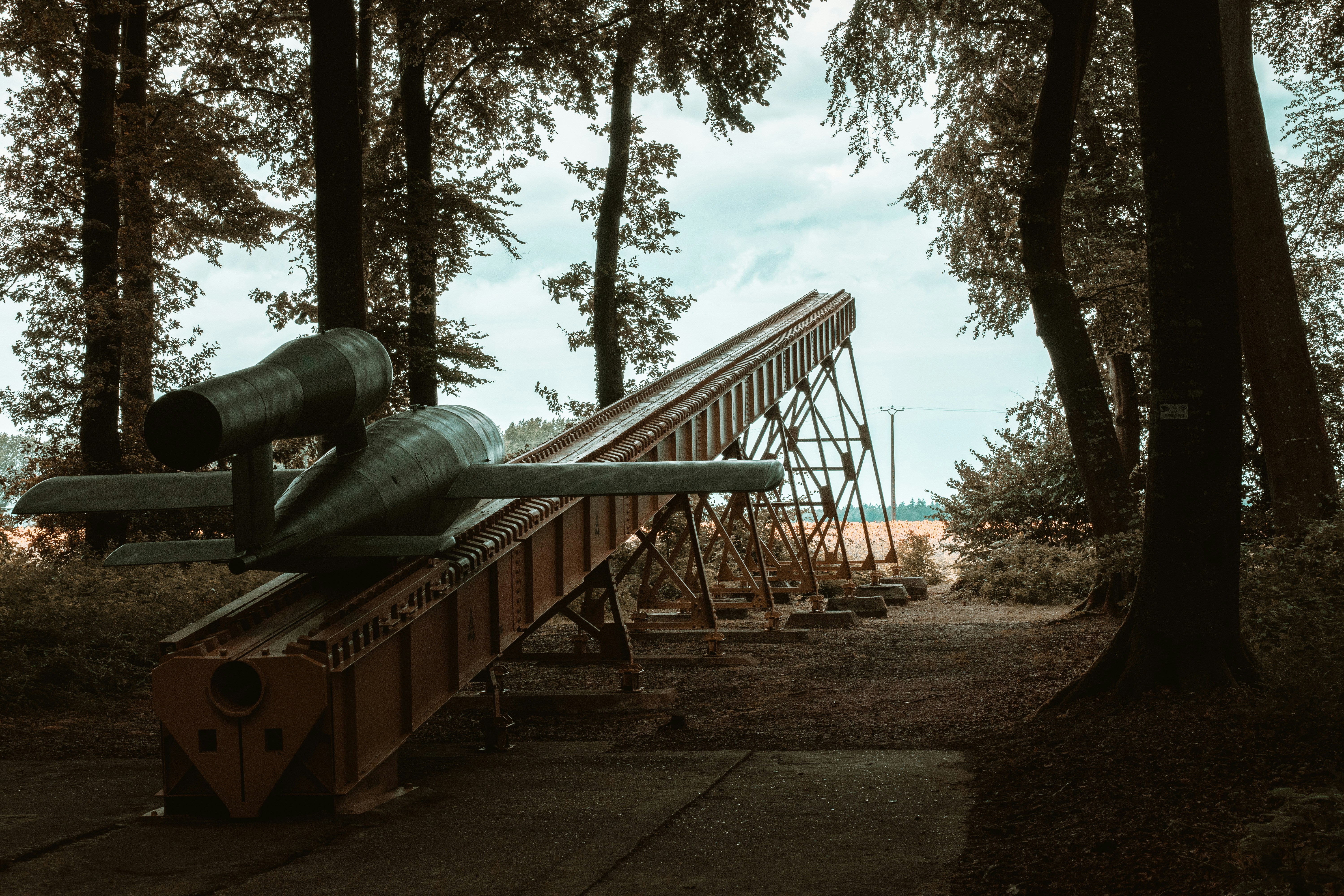 Shotline of a Tilted Cannon Runway in Dappled Forest Light