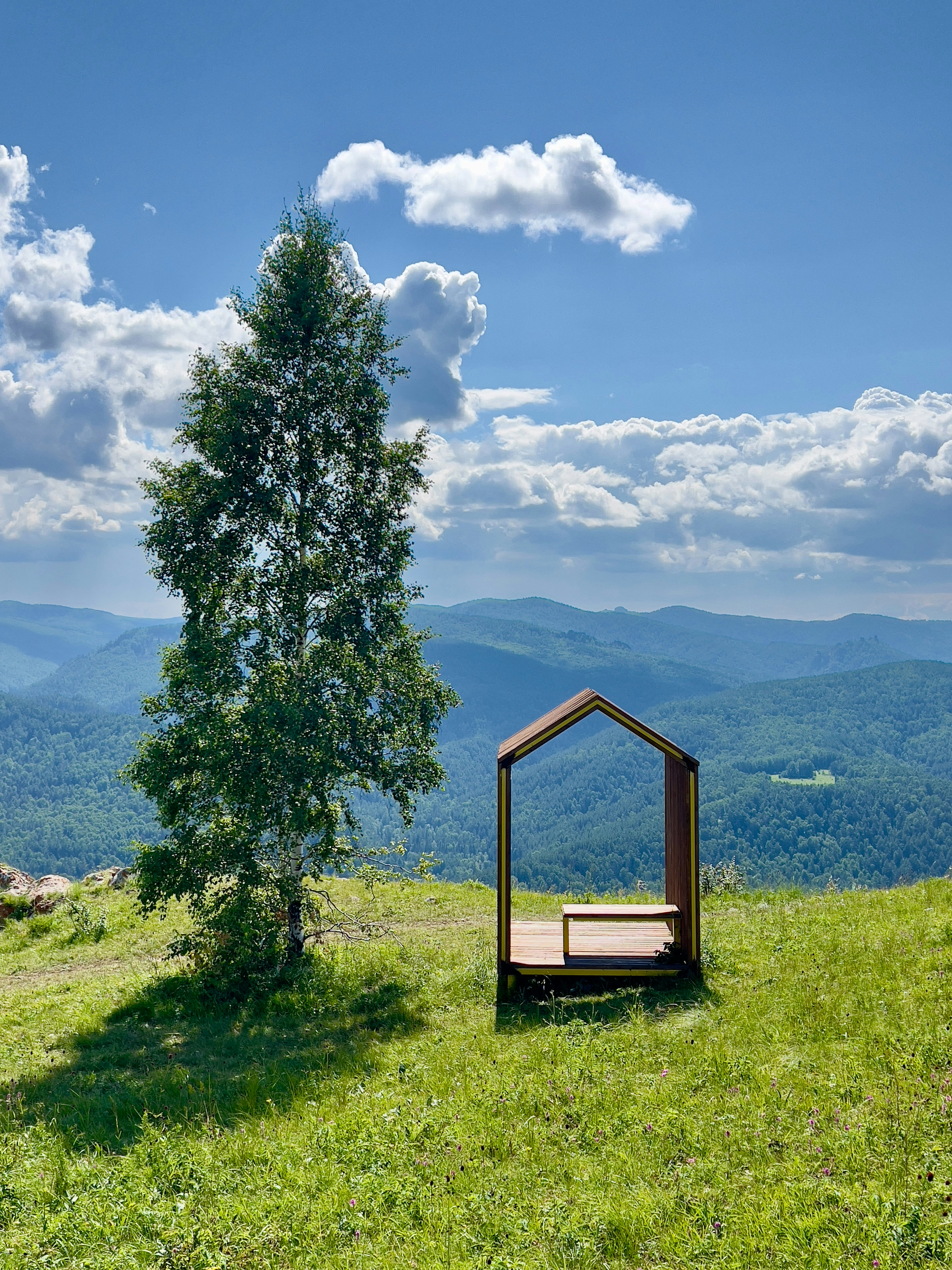 A solitary tree beside a minimalist wooden canopy on a rolling mountain meadow