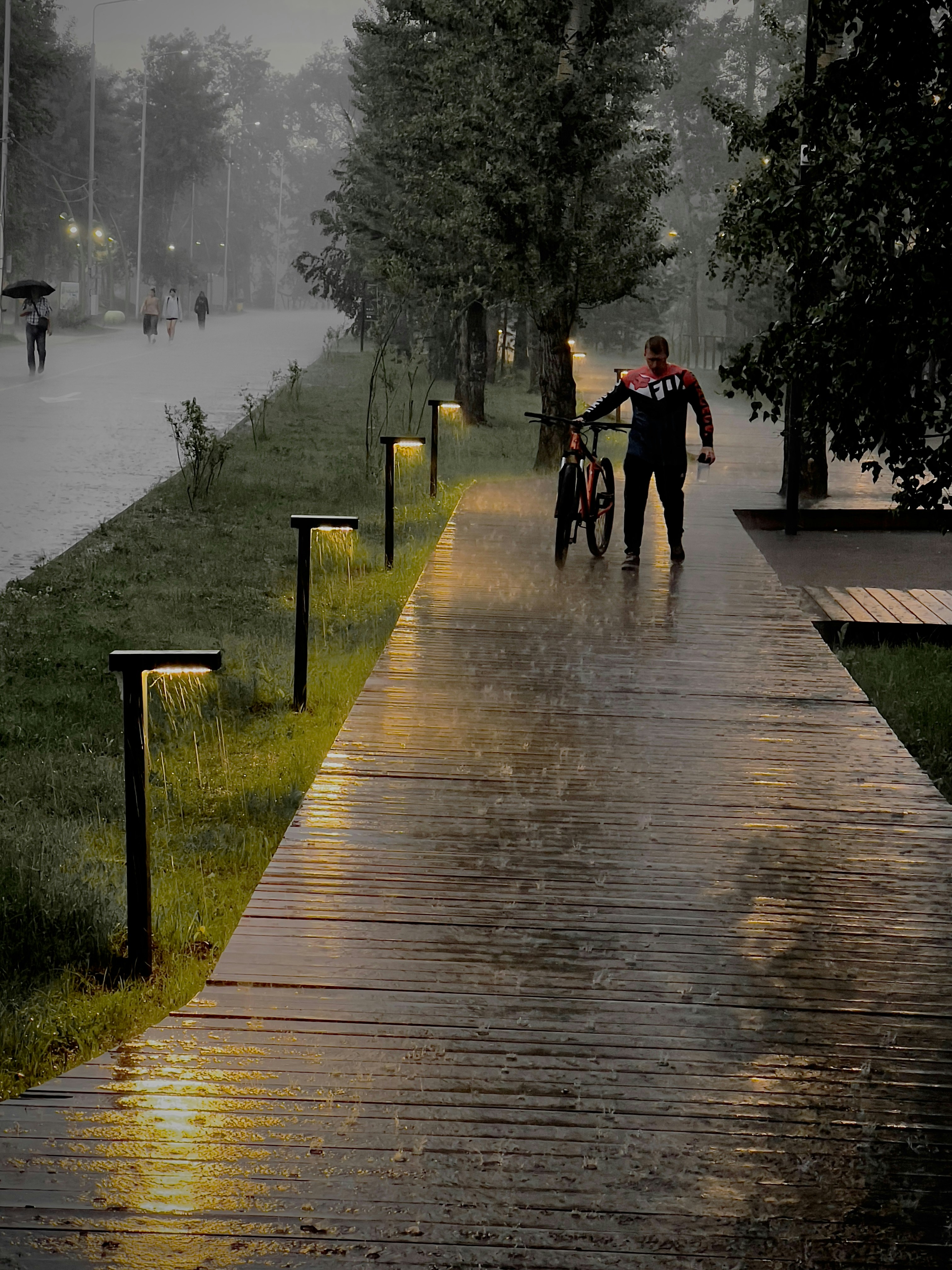 Rainy Riverside: Man with Bicycle on a Glimmering Boardwalk