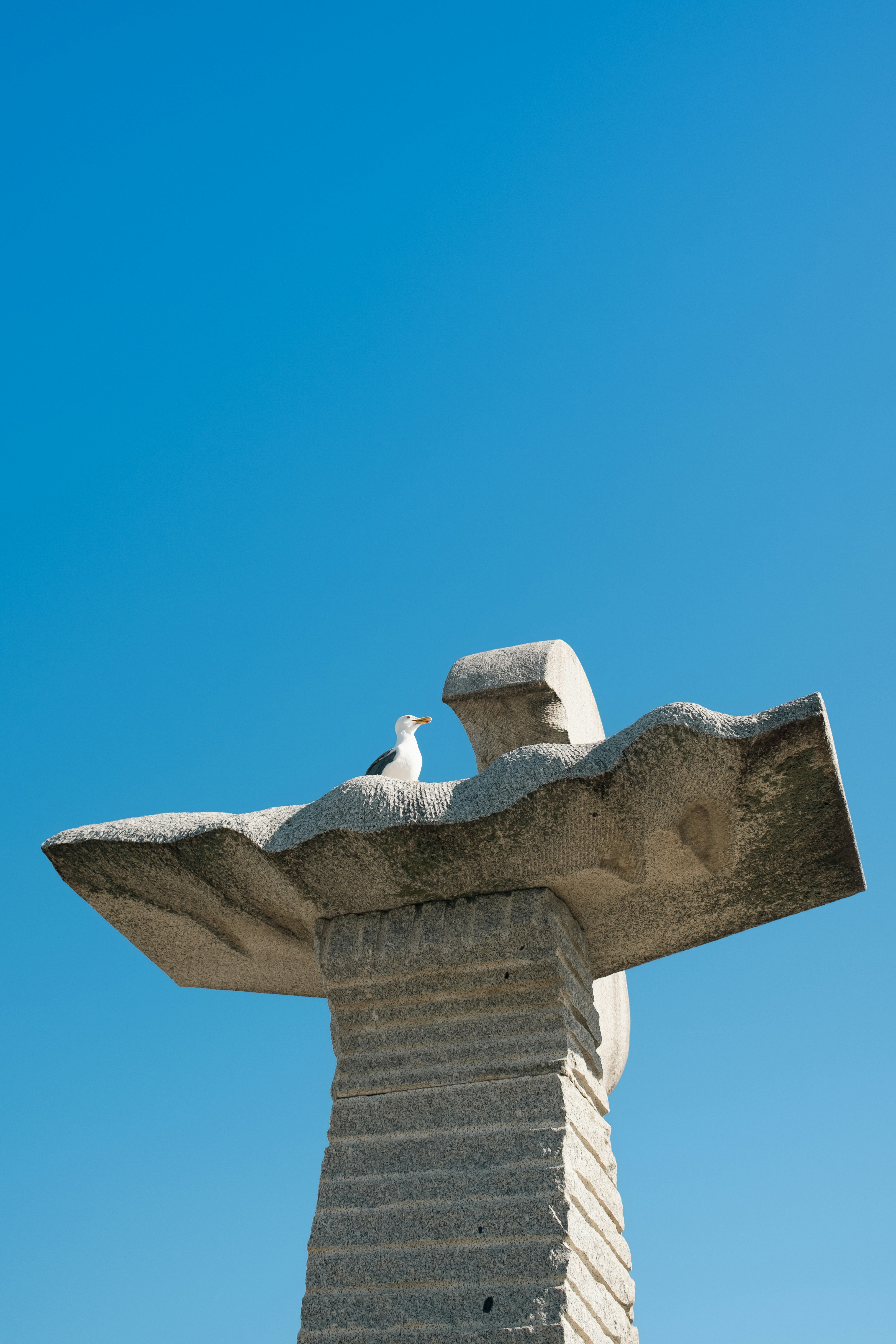 Seabird Sentinel atop a Stone Pedestal Under a Clear Blue Sky