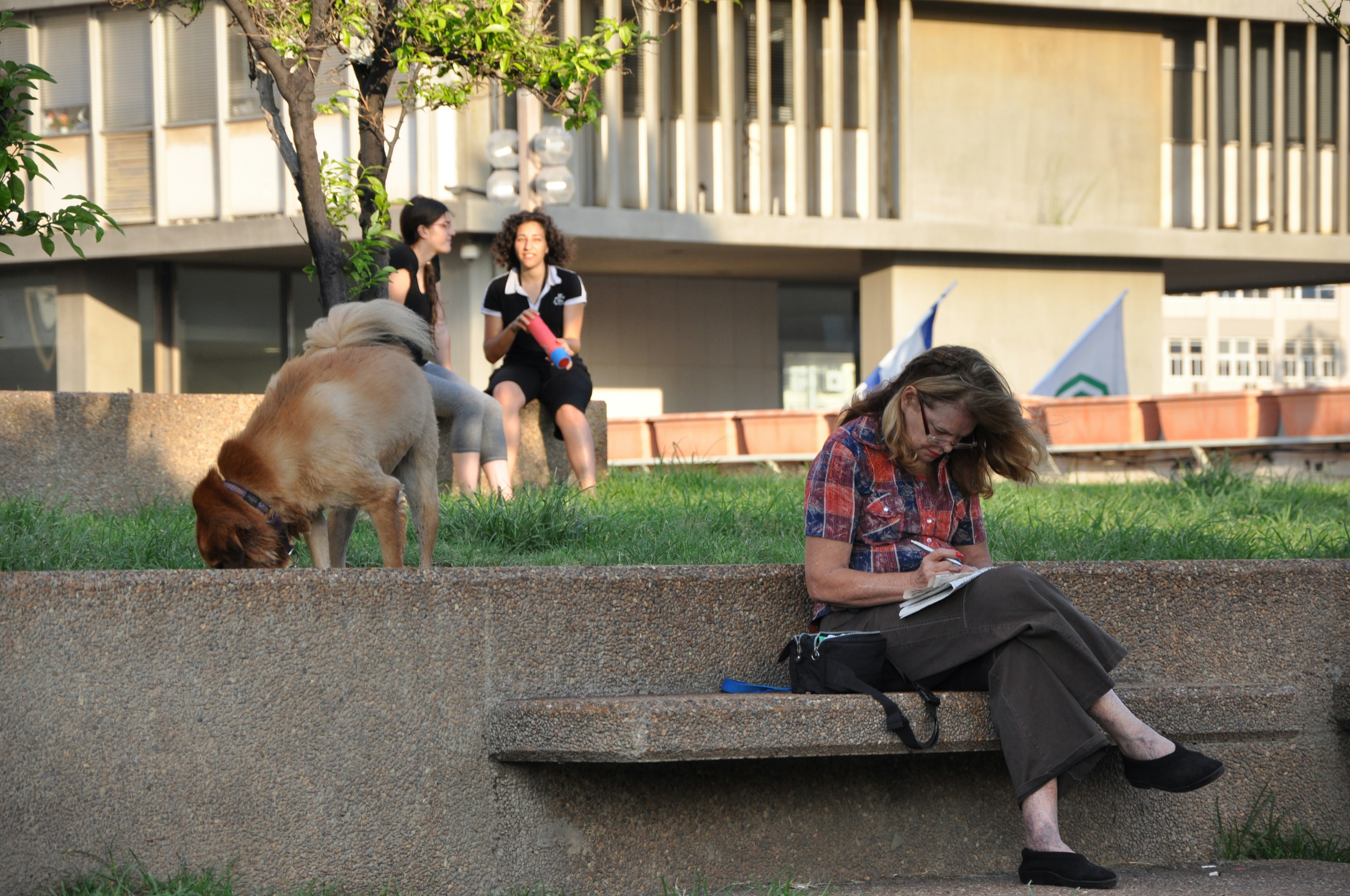 The Reader by the Riverside Bench