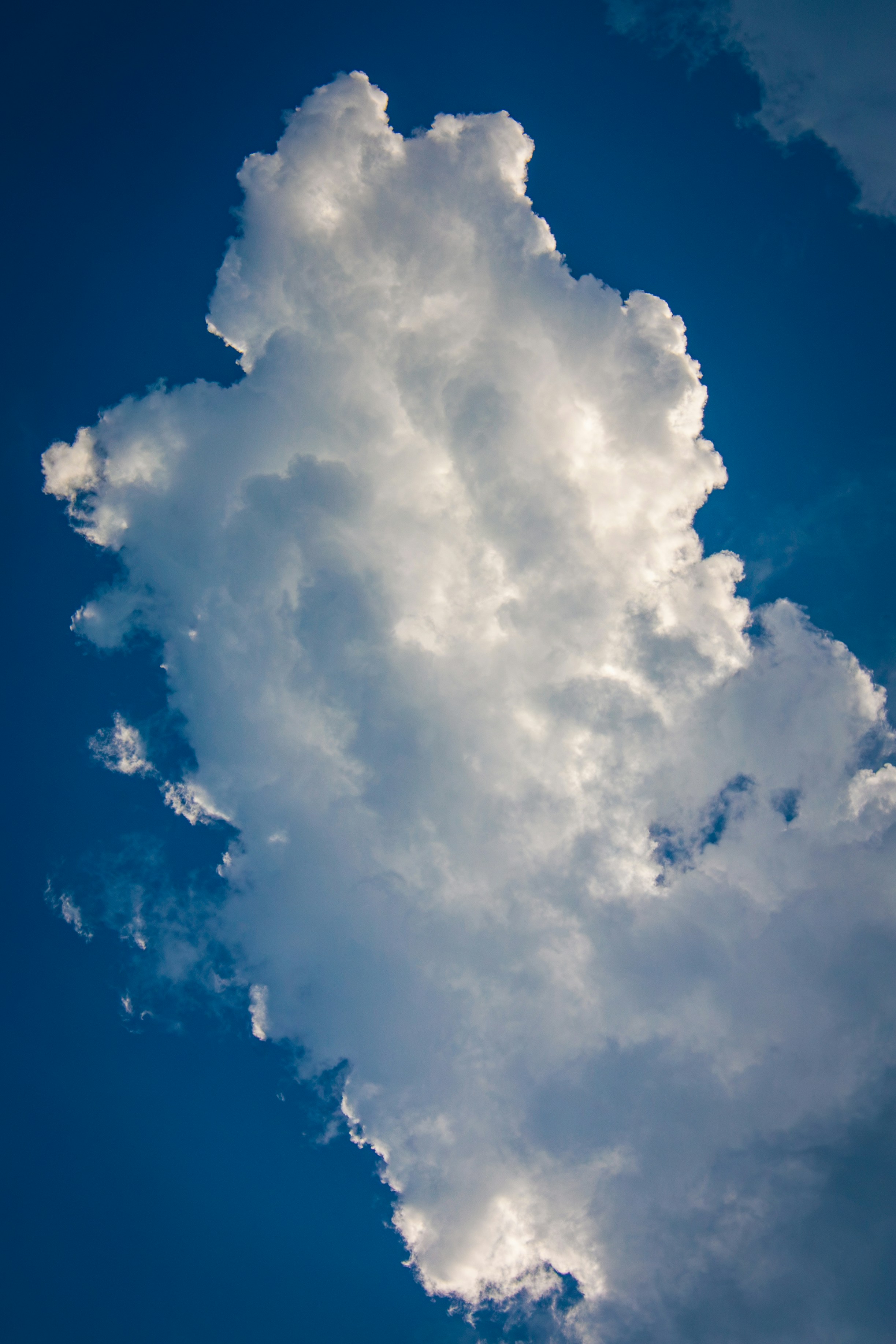 Towering Cloud Column Reaches into a Deep Blue Sky