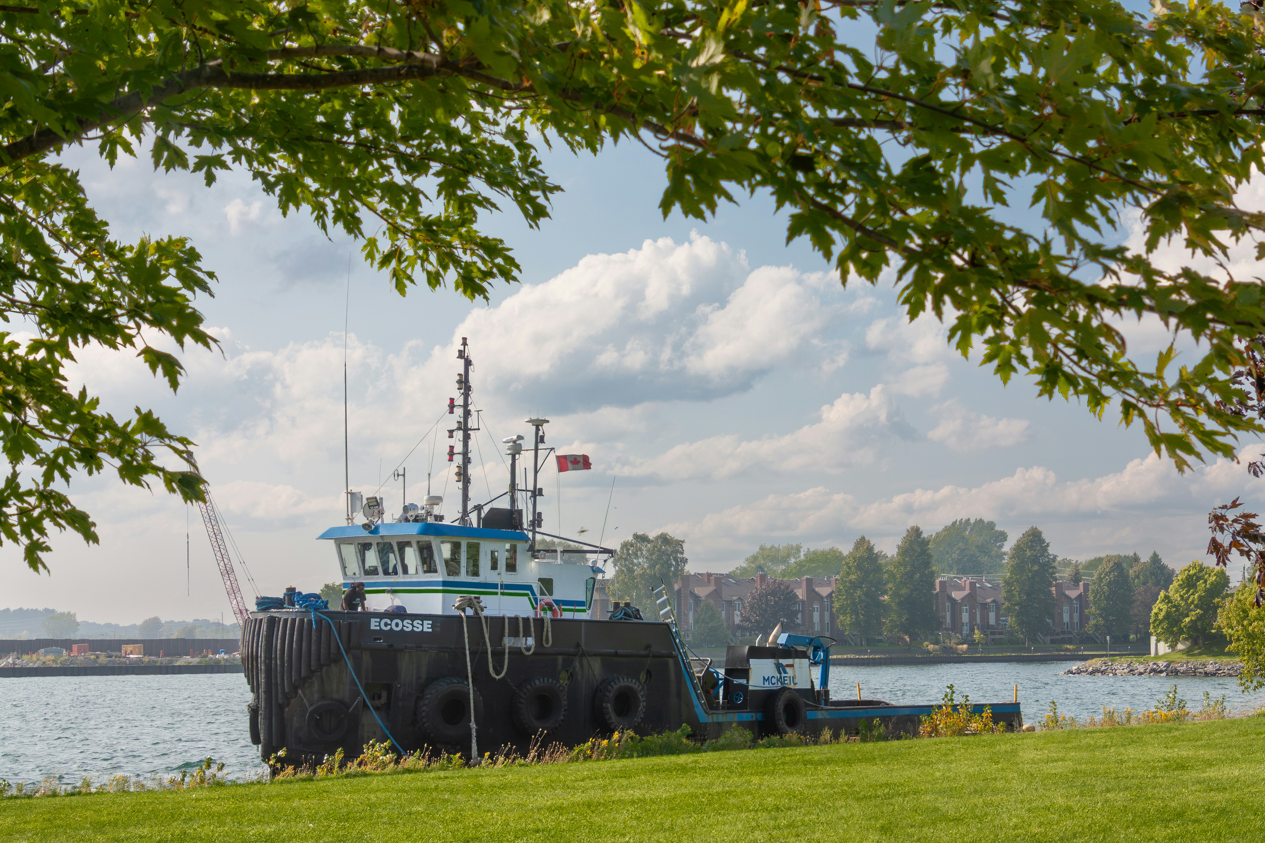 Towboat at the Riverside Dock Under Leafy Canopy