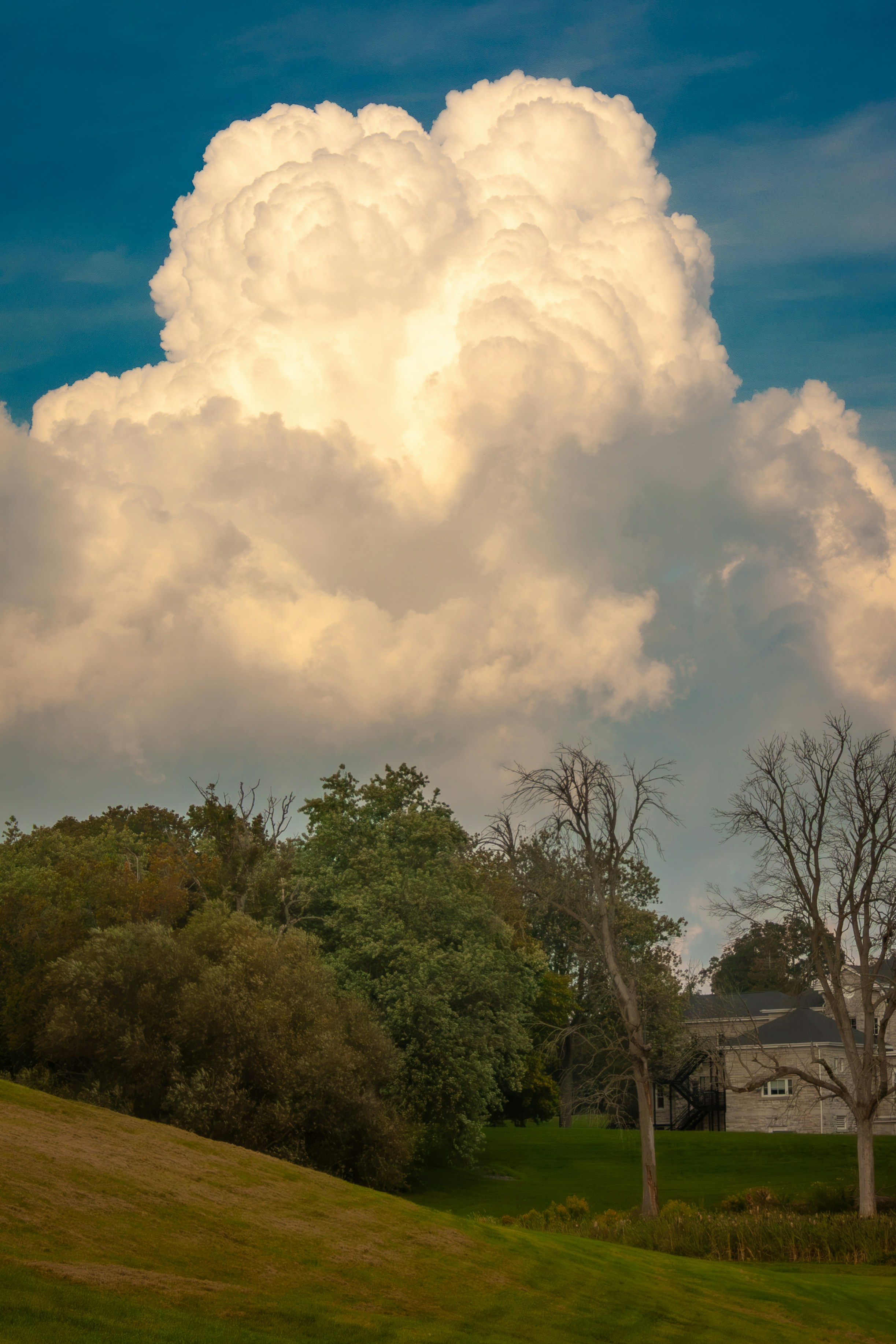 Towering Cumulus Over a Quiet Estate