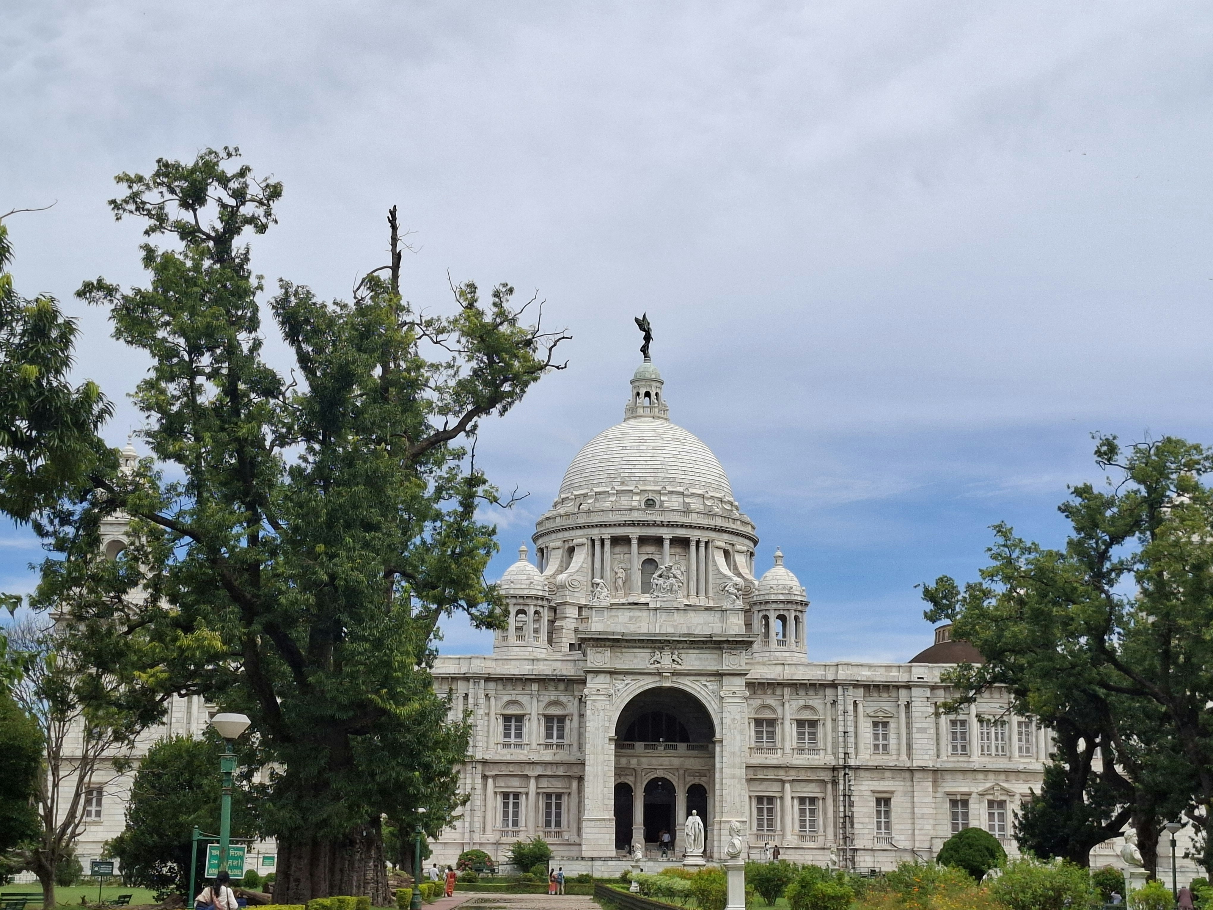 Capitol Dome in Focus: A Classical Facade Framed by Green Canopy