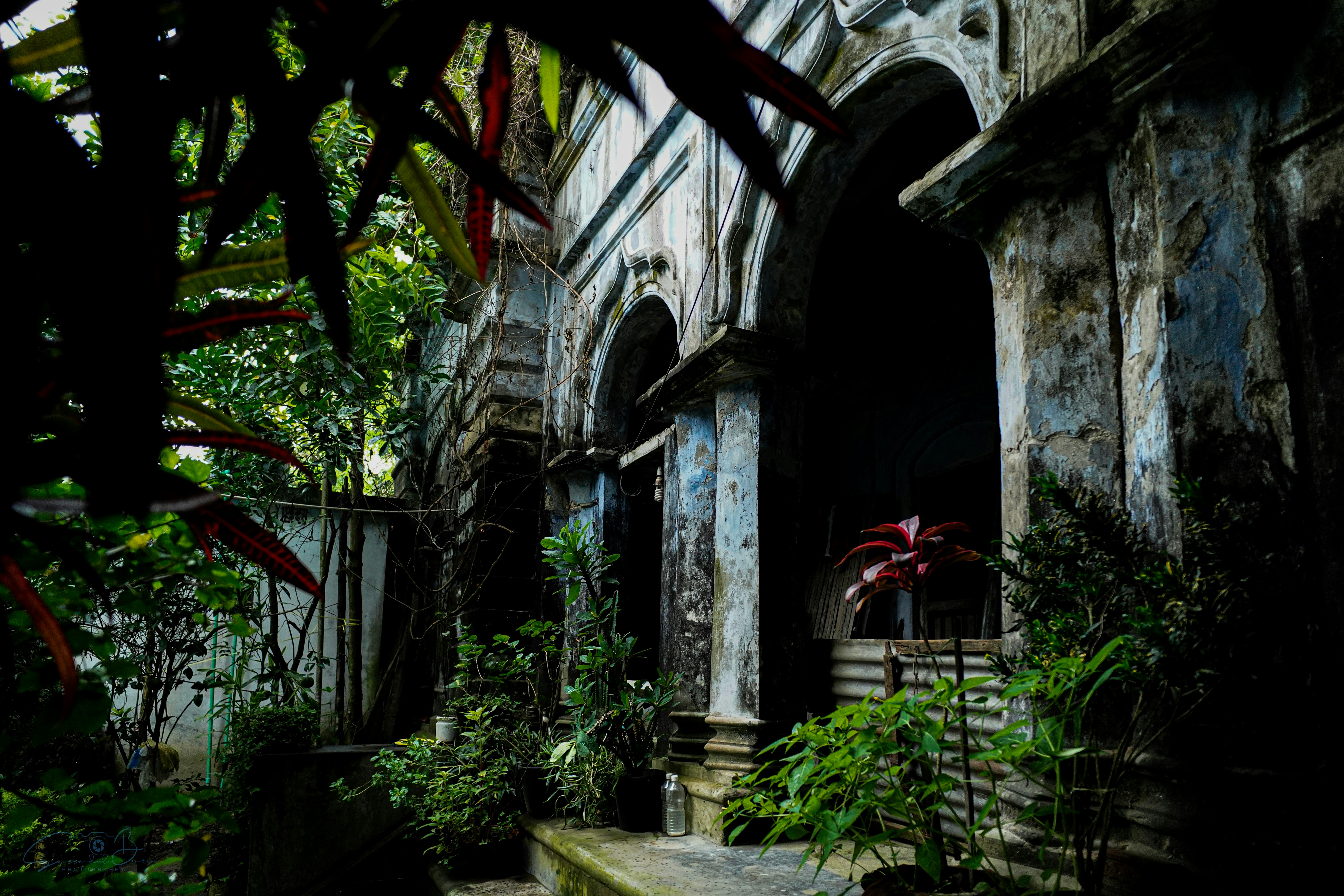 Overgrown Courtyard of a Weathered Archive