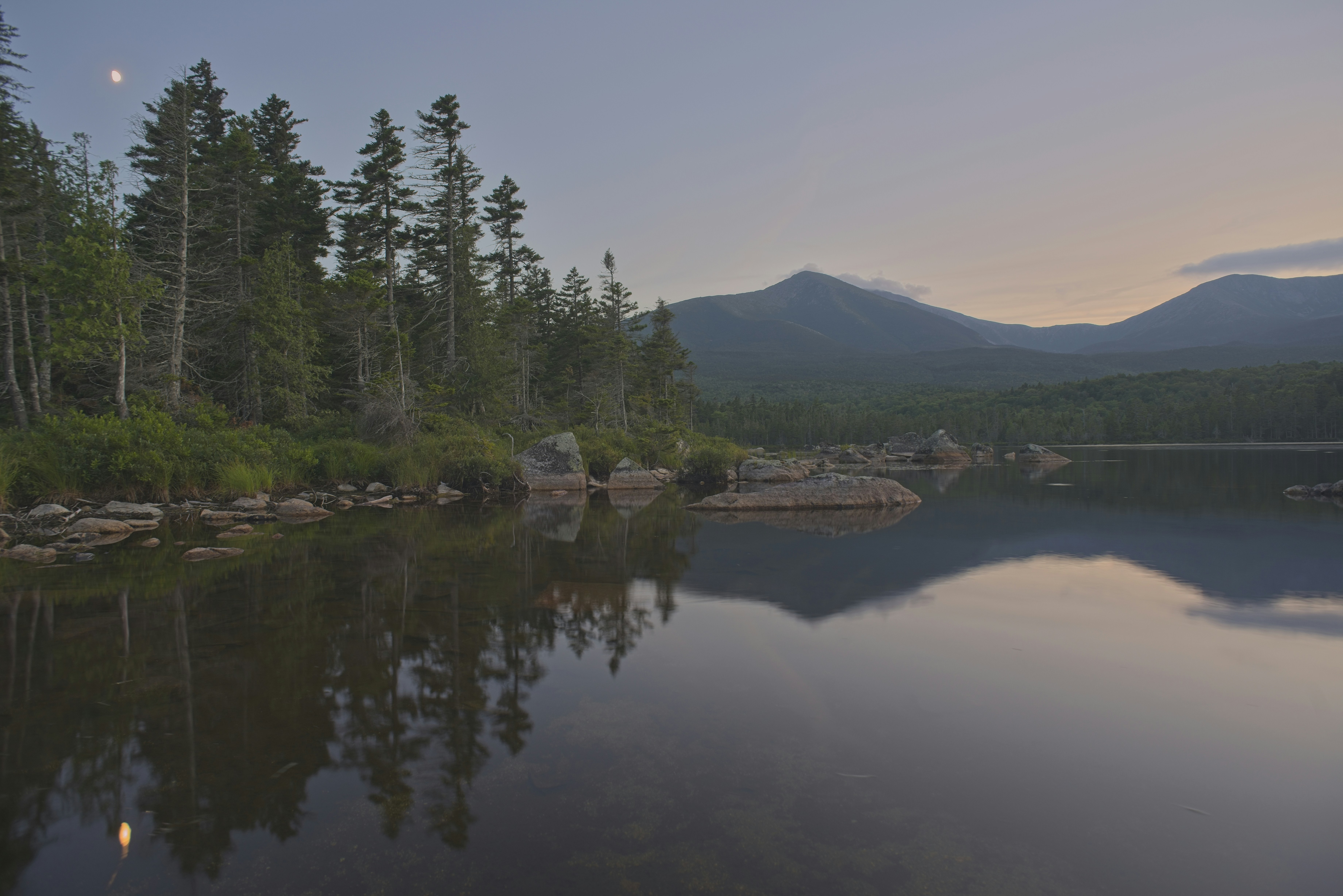 Quiet Alpine Lake at Sunset with Pine Shoreline