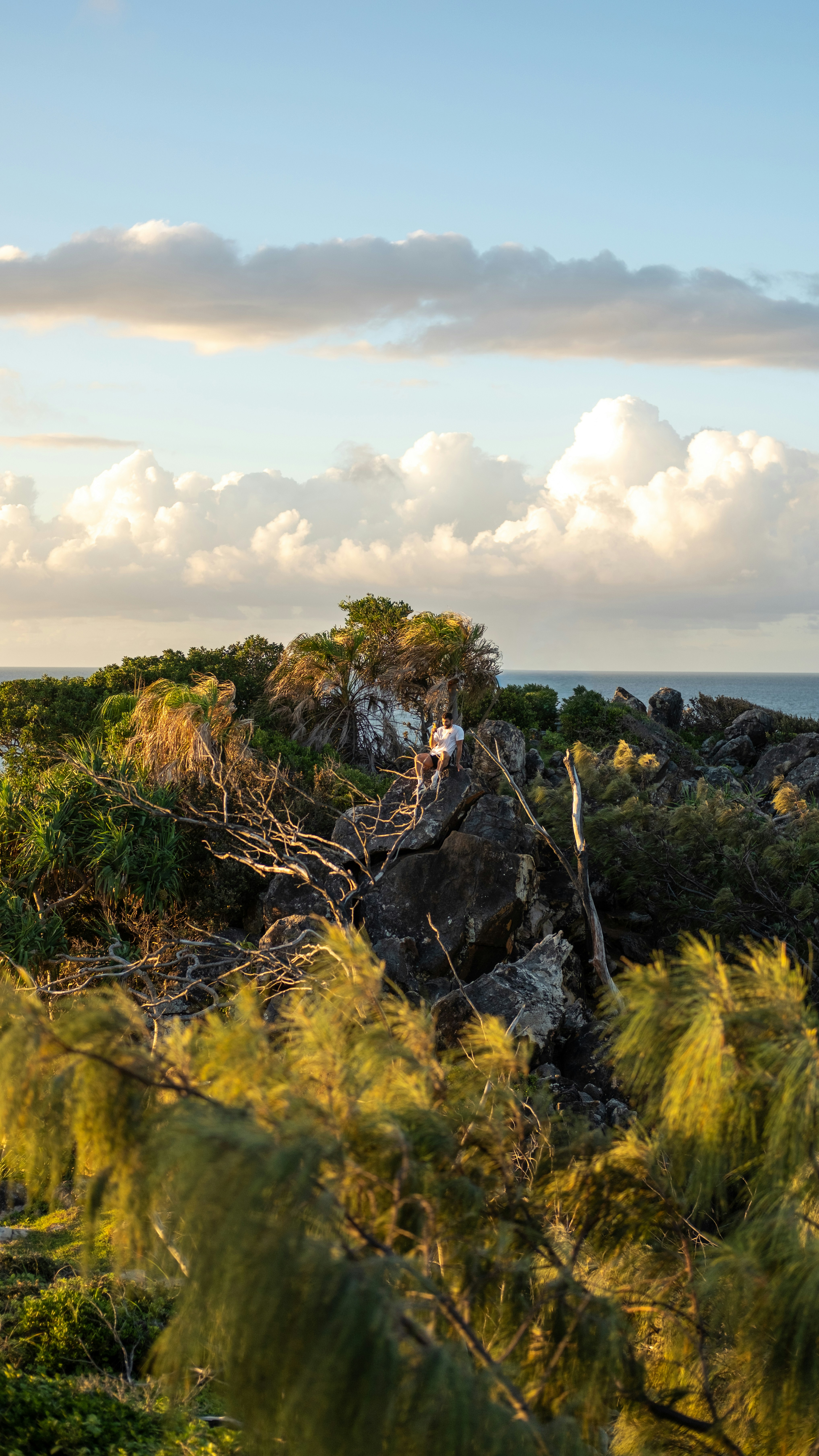 Cliffside Crest: A Lone Figure Among Granite and Greenery
