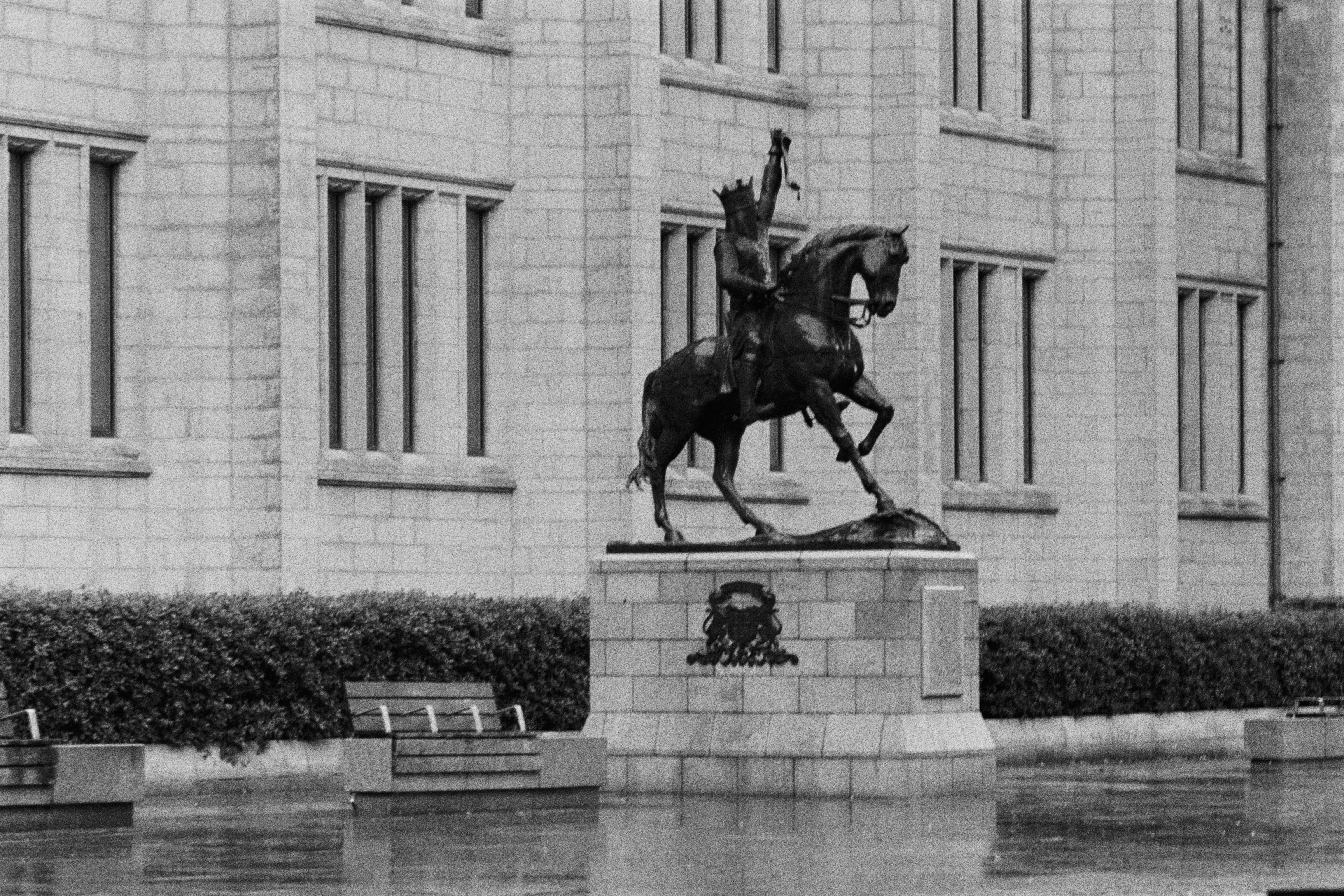 Bronze Equestrian Reverie: A stately rider atop a rearing horse