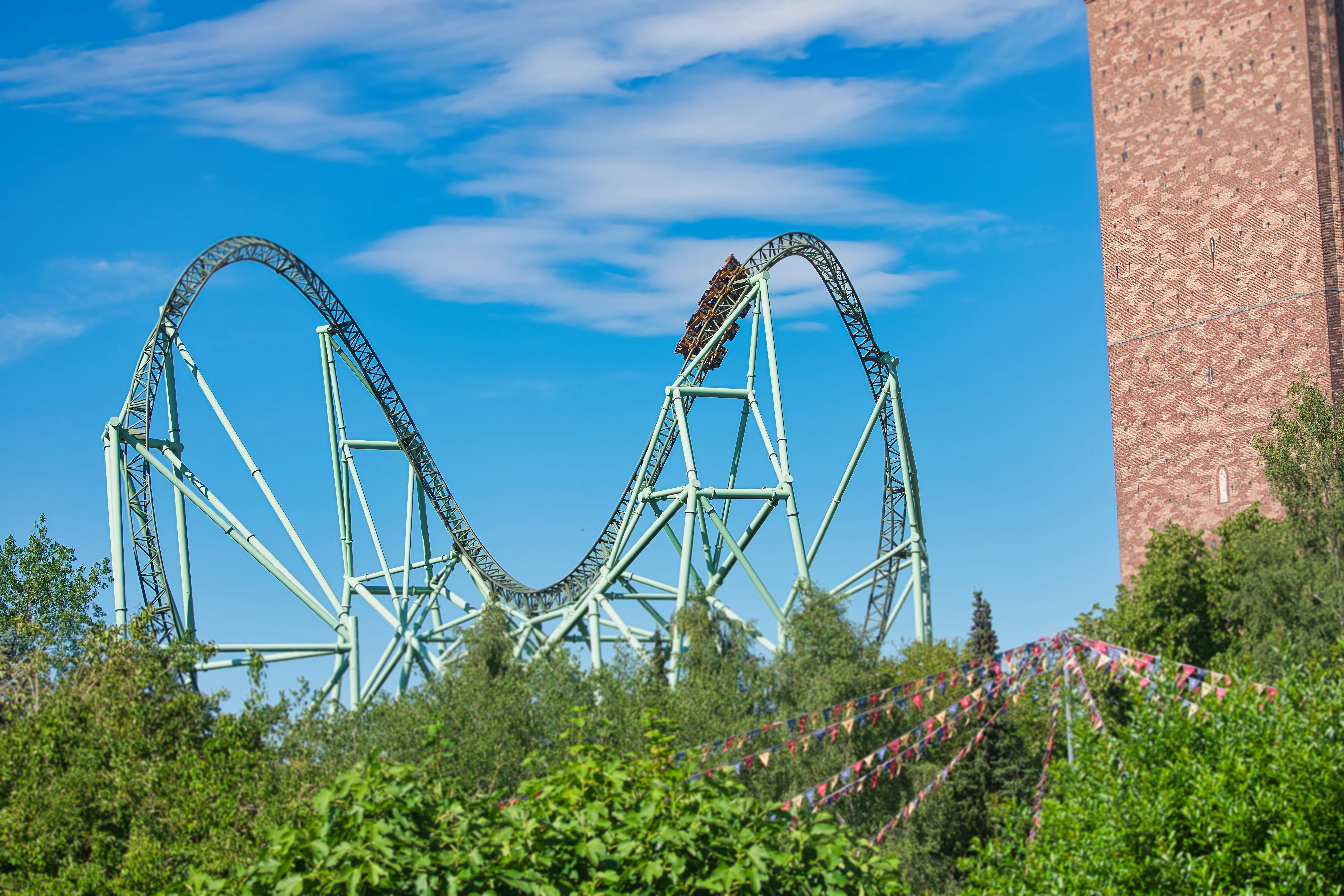 Looping Steel: The Roller Coaster Emerges from the Greenery