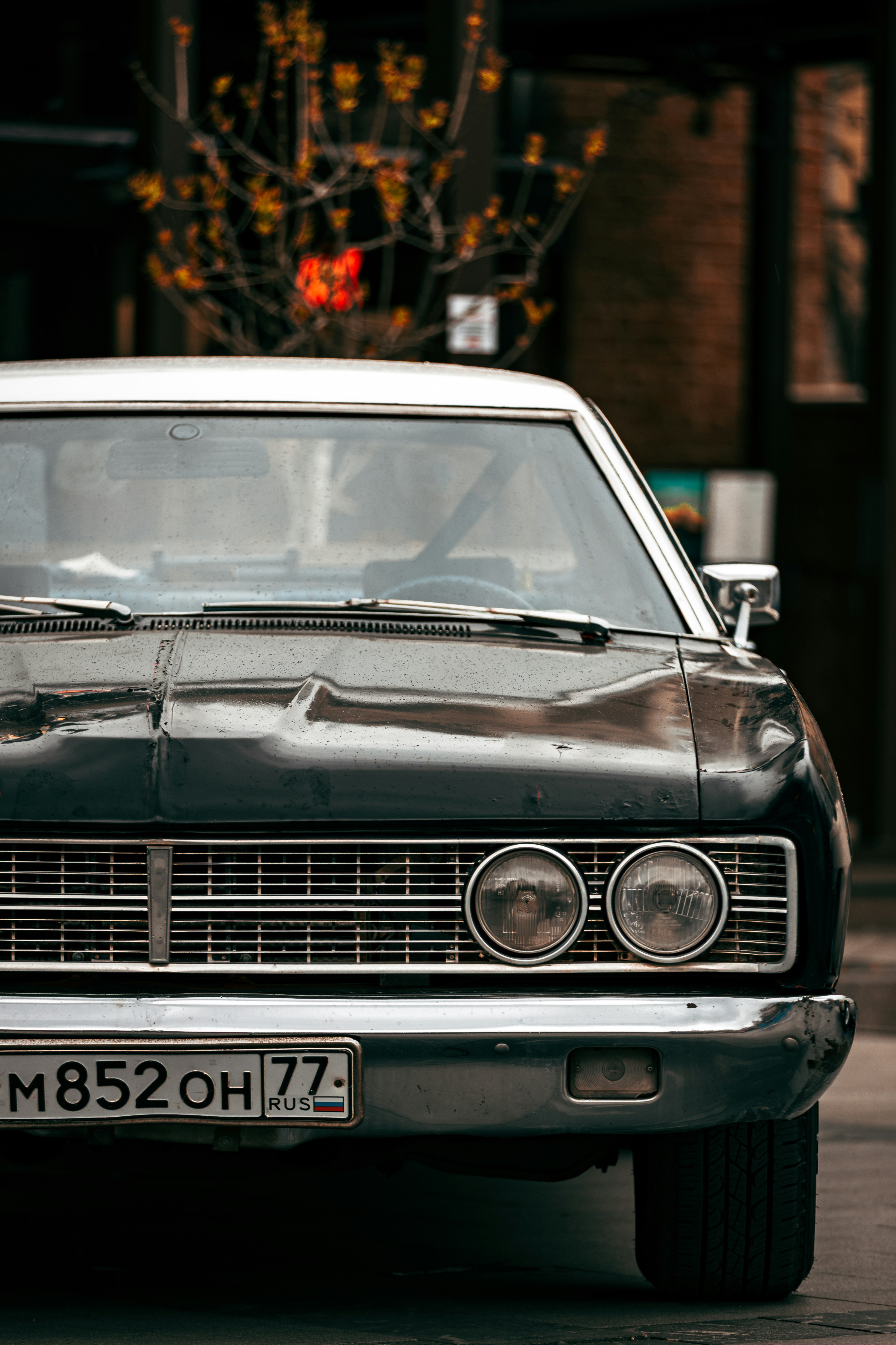 Front View of a Weathered Classic: Rusted Chrome and Subtle Reflections
