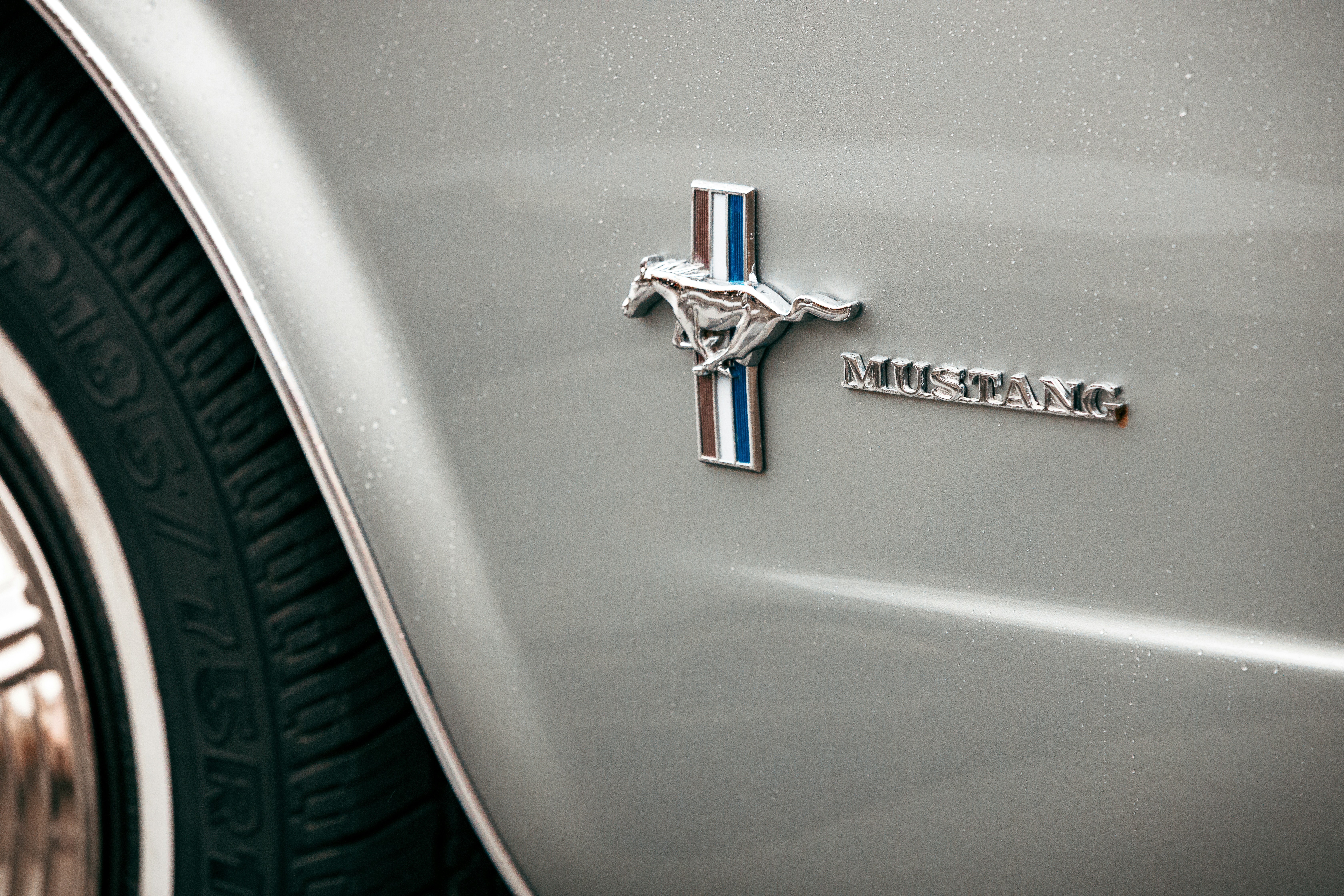 Mustang Emblem in Focus: A Quiet Close-Up of Power