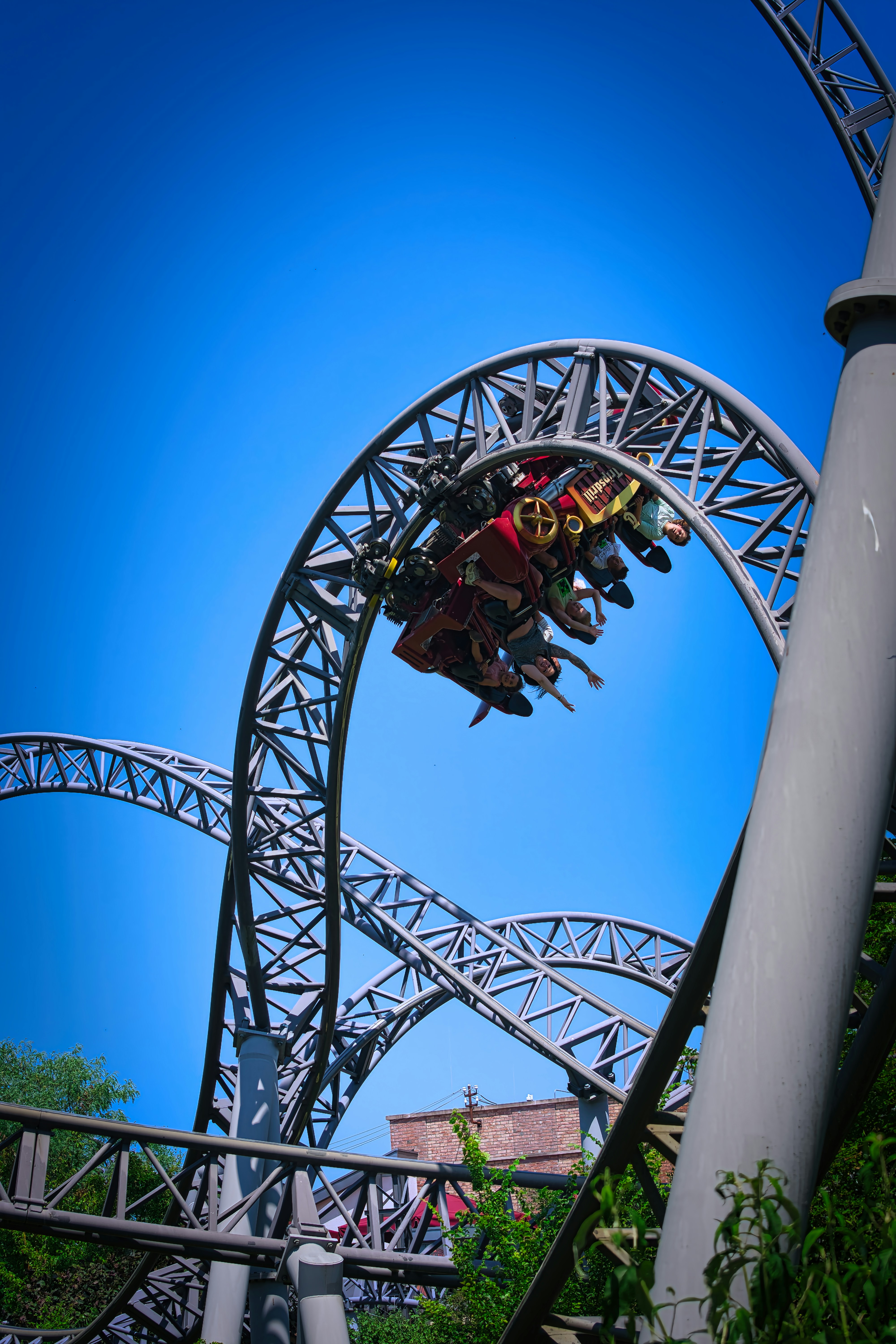 Rider Loop: A Moment of Gravity on a Steel Ribbon