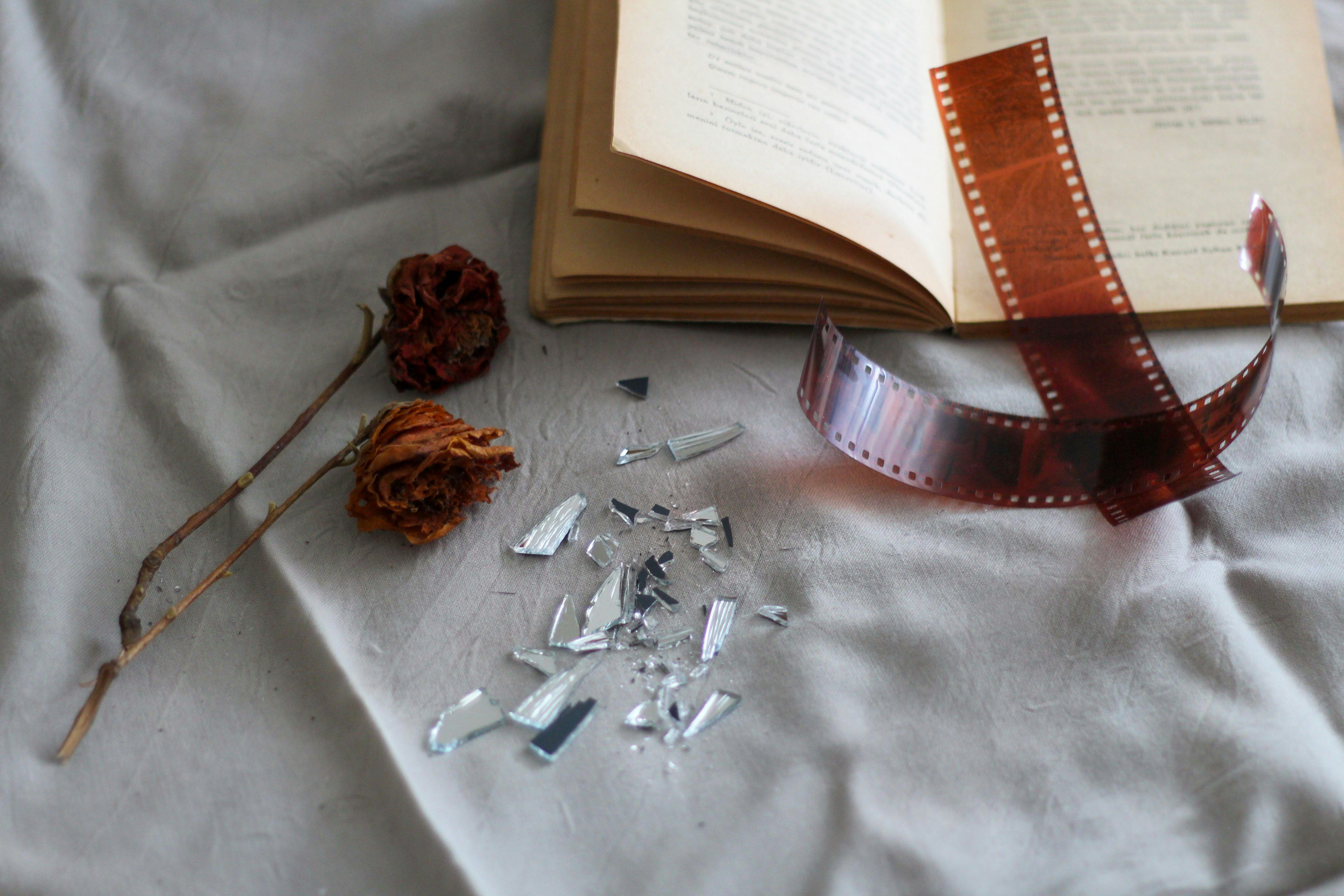 Fragments of Film and Book: A Quiet Studio Still Life