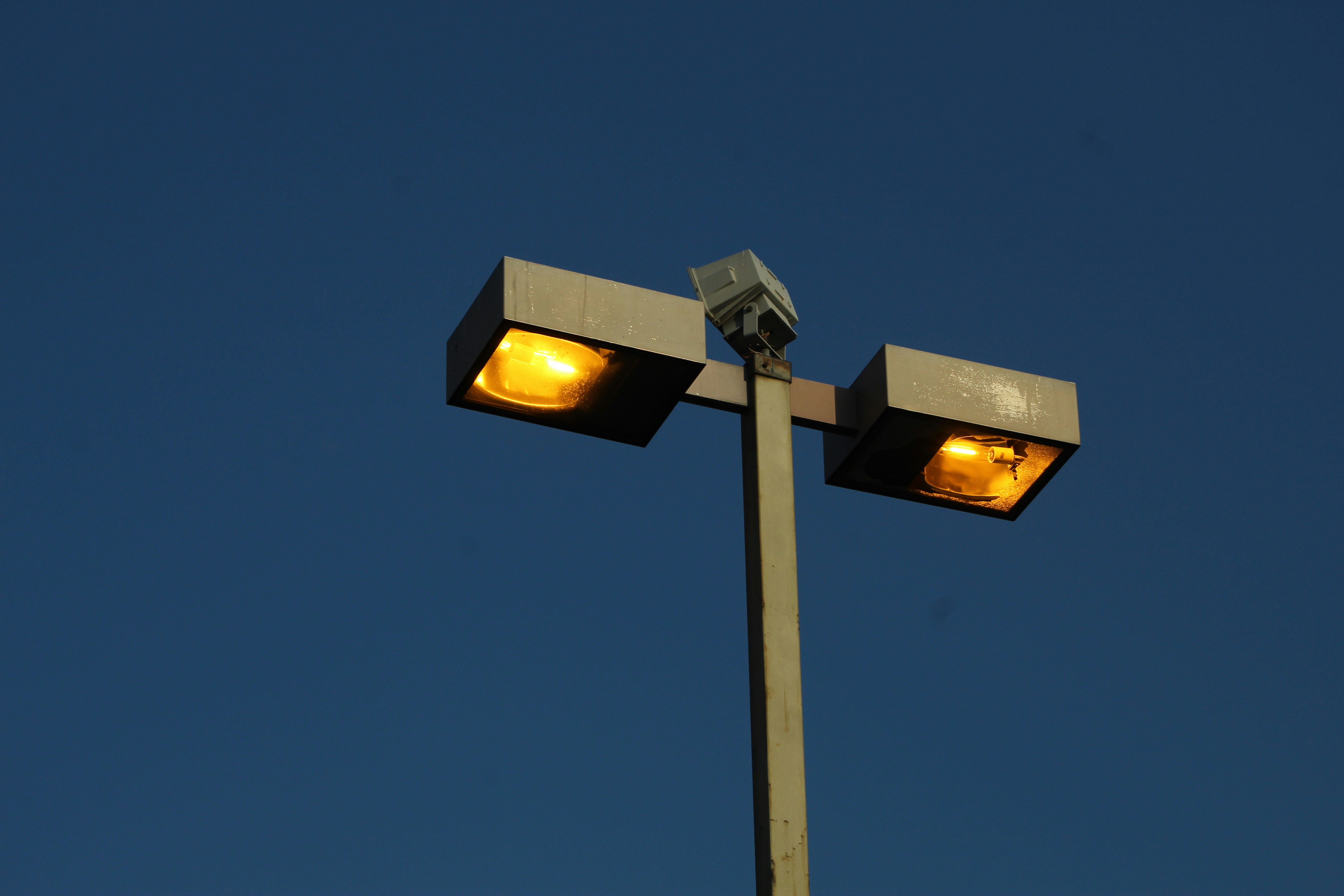 Lone Streetlight Under a Velvet Sky