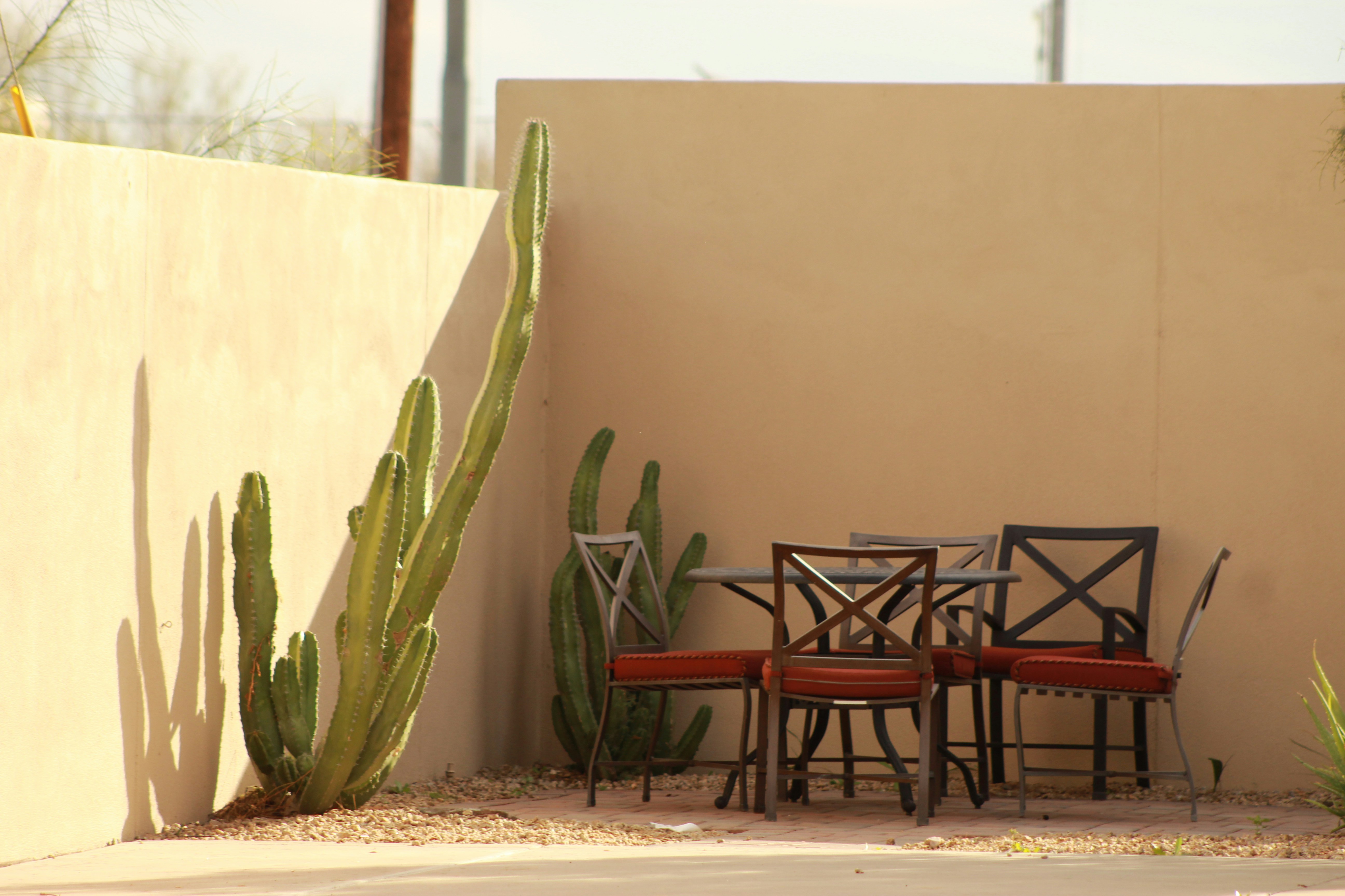 Desert Patio Ensemble under Noon Sun