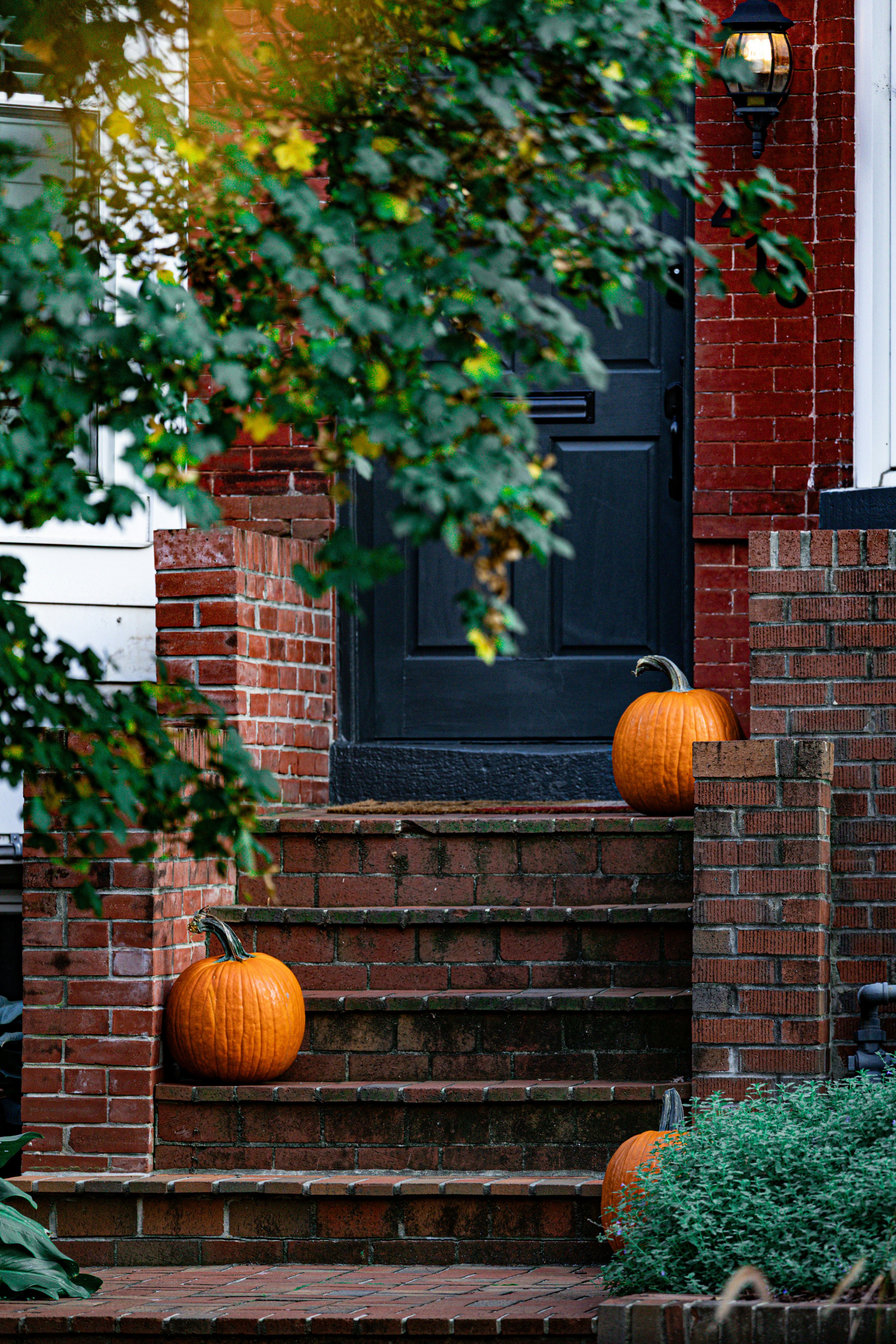 Autumn pumpkins sit on brick steps beneath a dark door, with greenery framing the scene as daylight glints through the foliage. This is a photographic capture of a porch arrangement with seasonal decor and brick architecture.