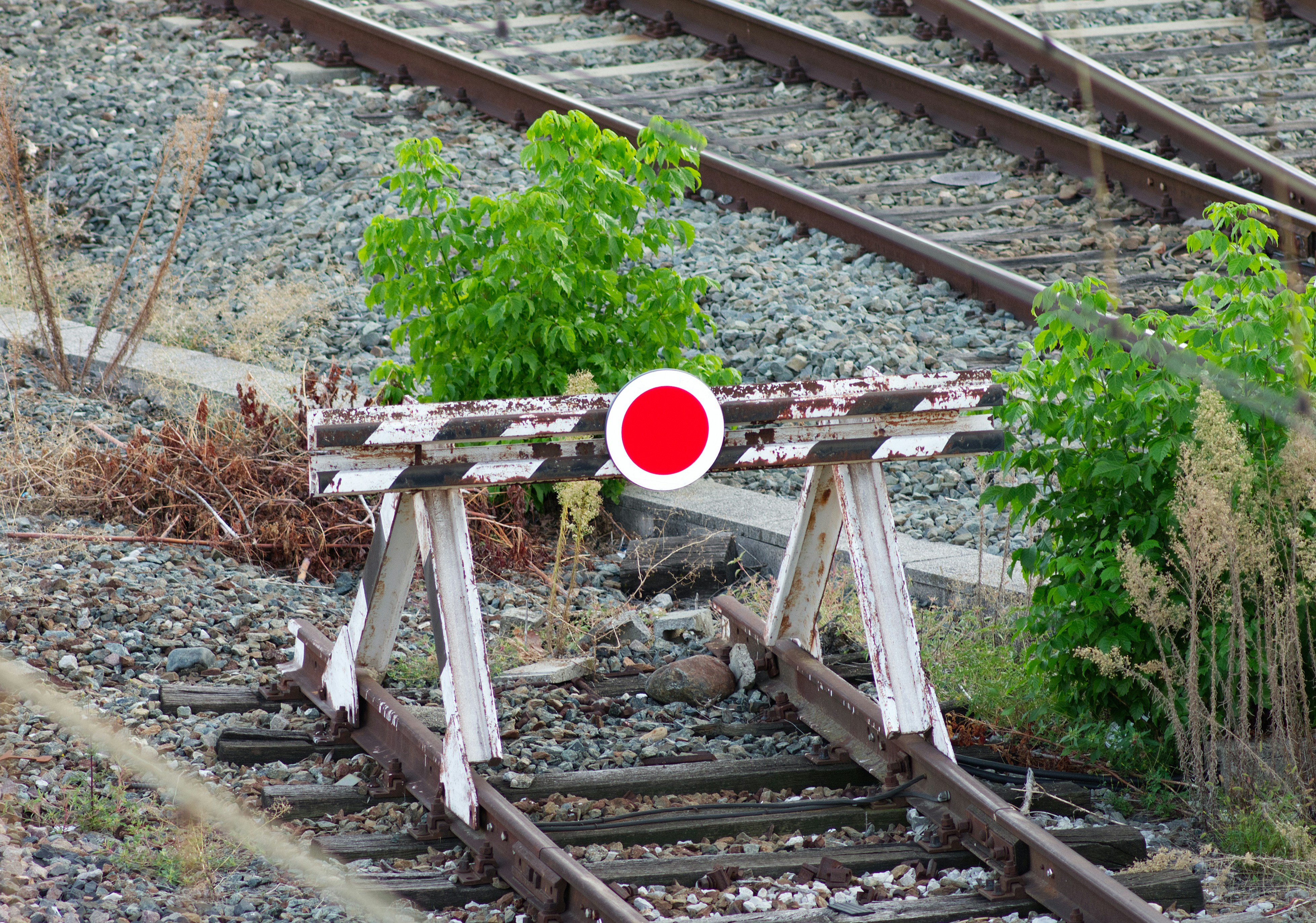 Red Stopper on Quiet Rails: A Distant Barrier Between Tracks and Greenery