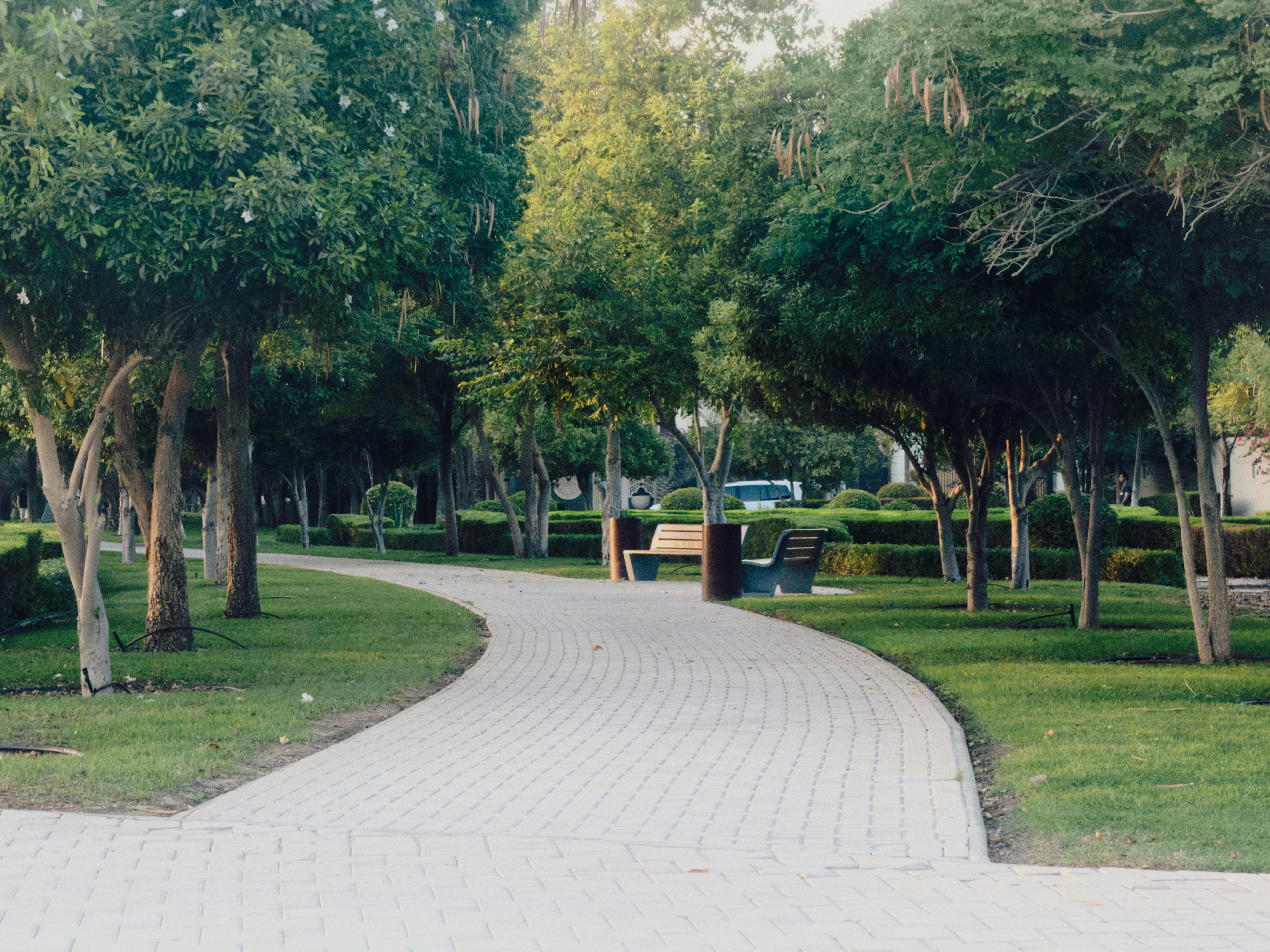 Curved Brick Path through a Quiet Park