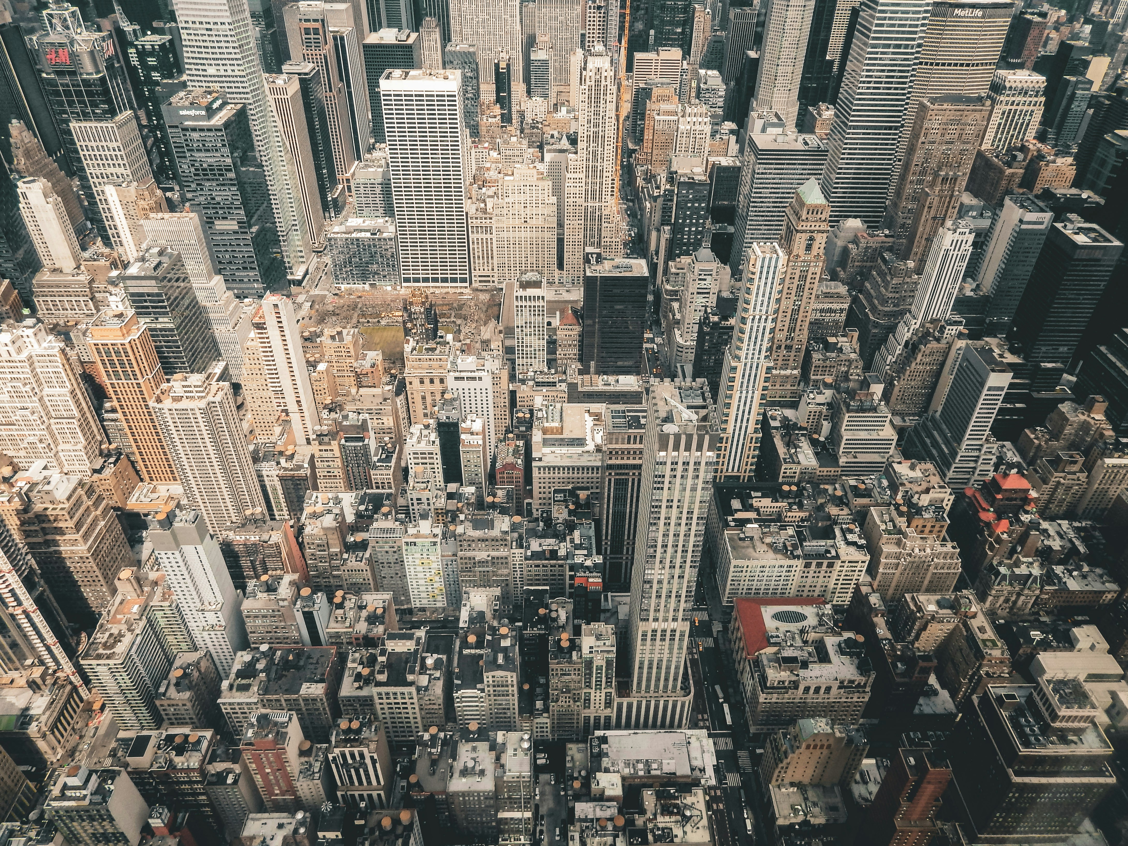 Urban Canyon: A Bird’s-Eye Glimpse into a Densely Woven Metro