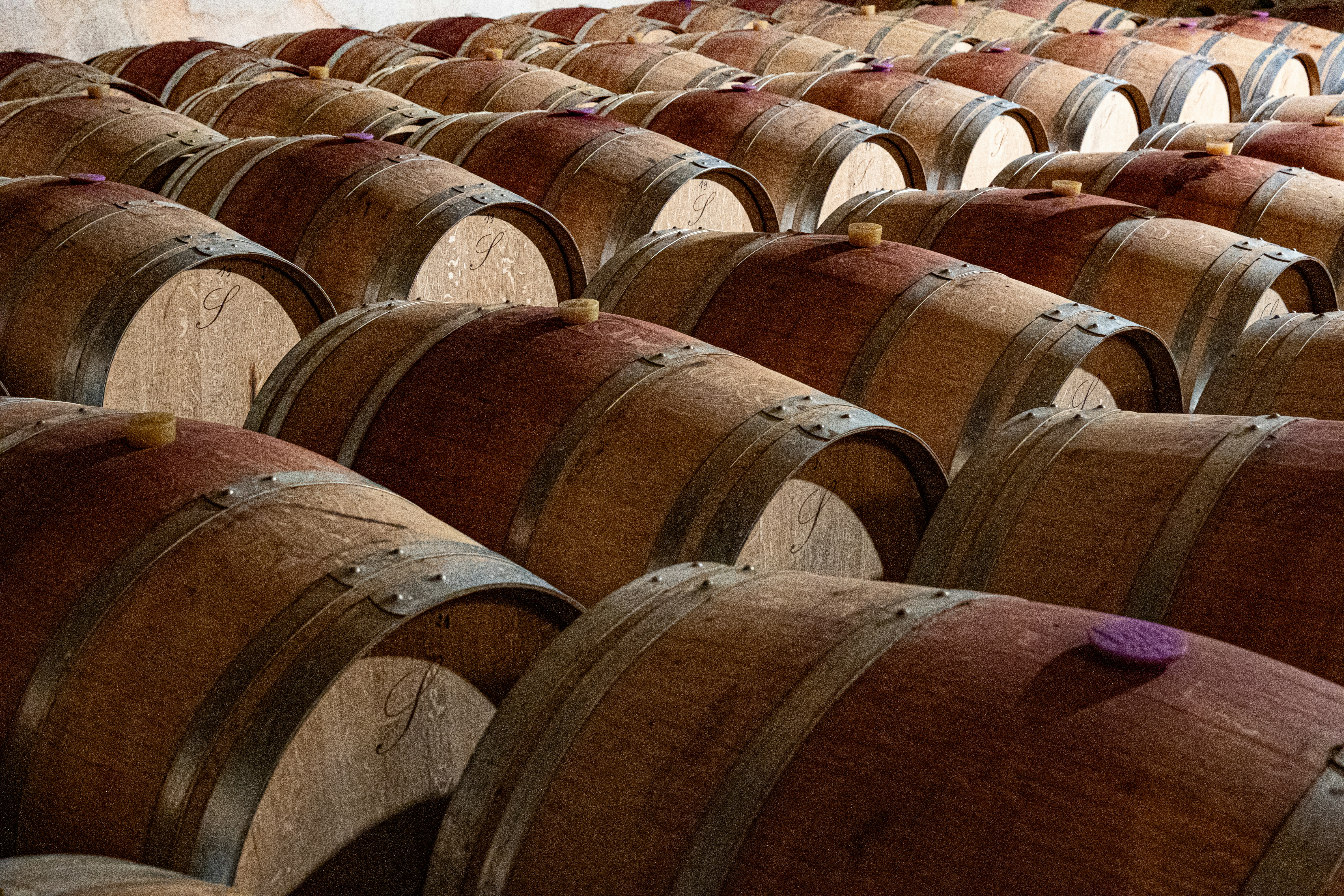 Amber Oceans: A Shoreline of Oak Barrels