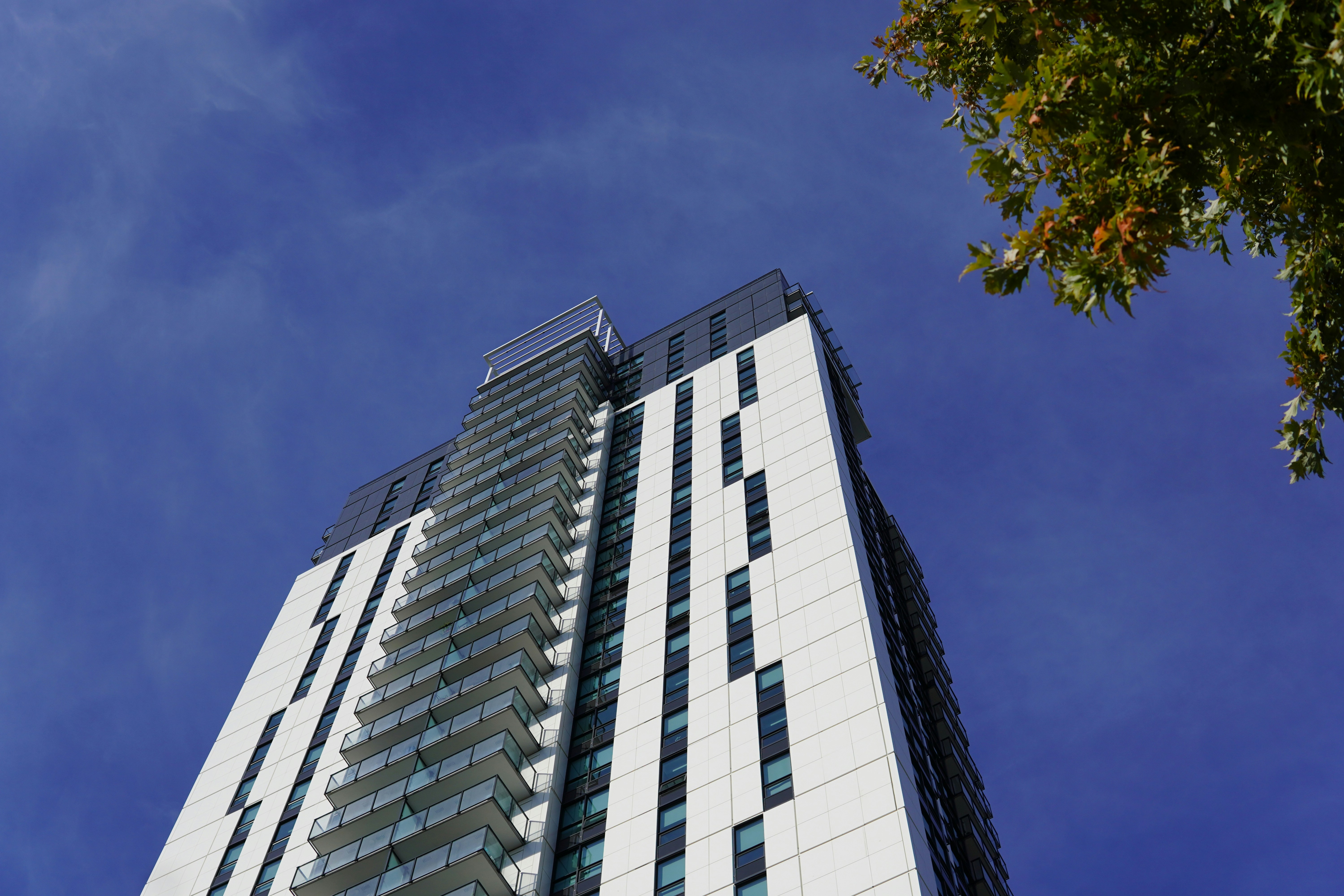 Vertigo of Glass: A Skyscraper Reaching into a Clear Sky