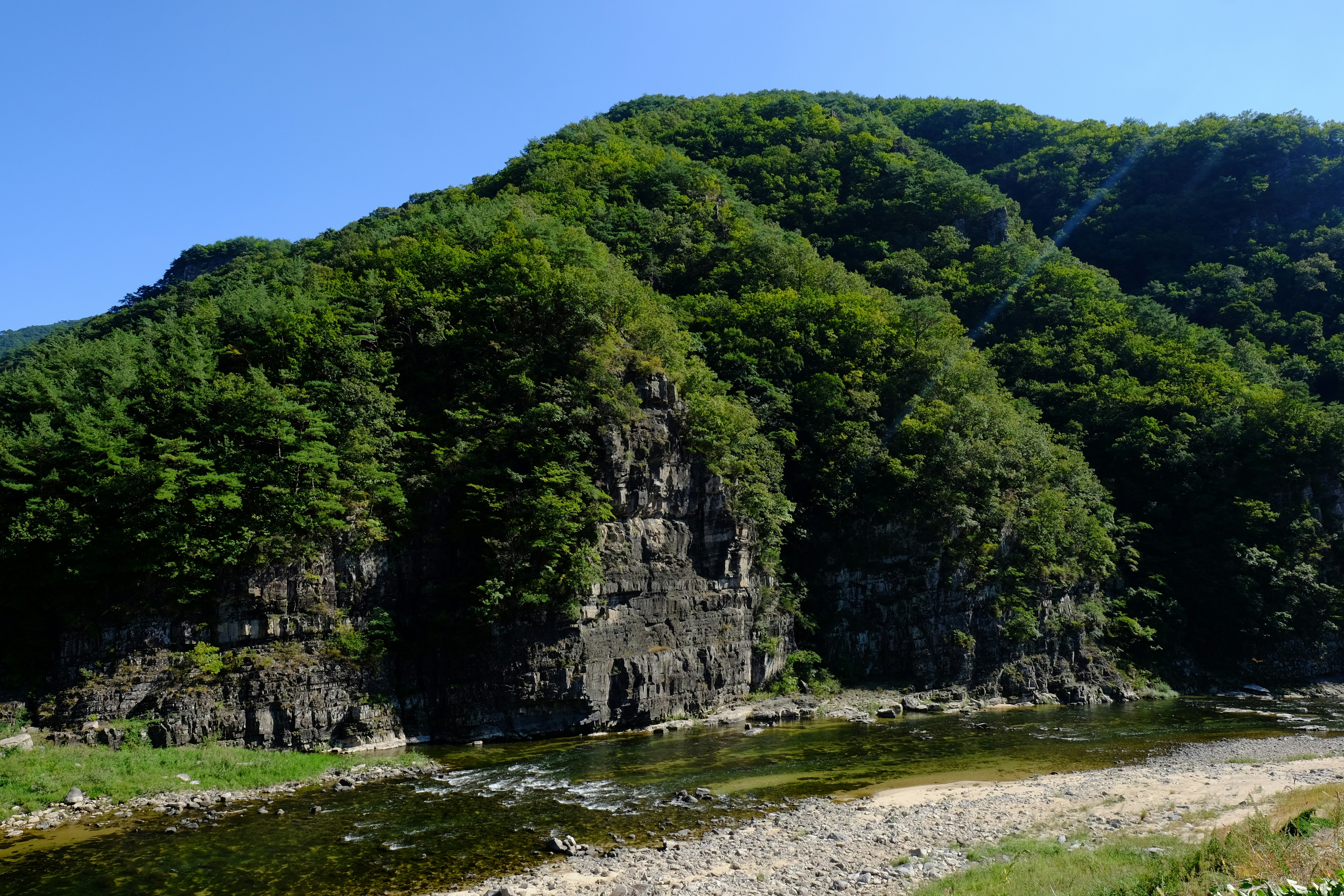 Cliffside Emerald: A Coastal Forest Crest Beneath a Bright Sky