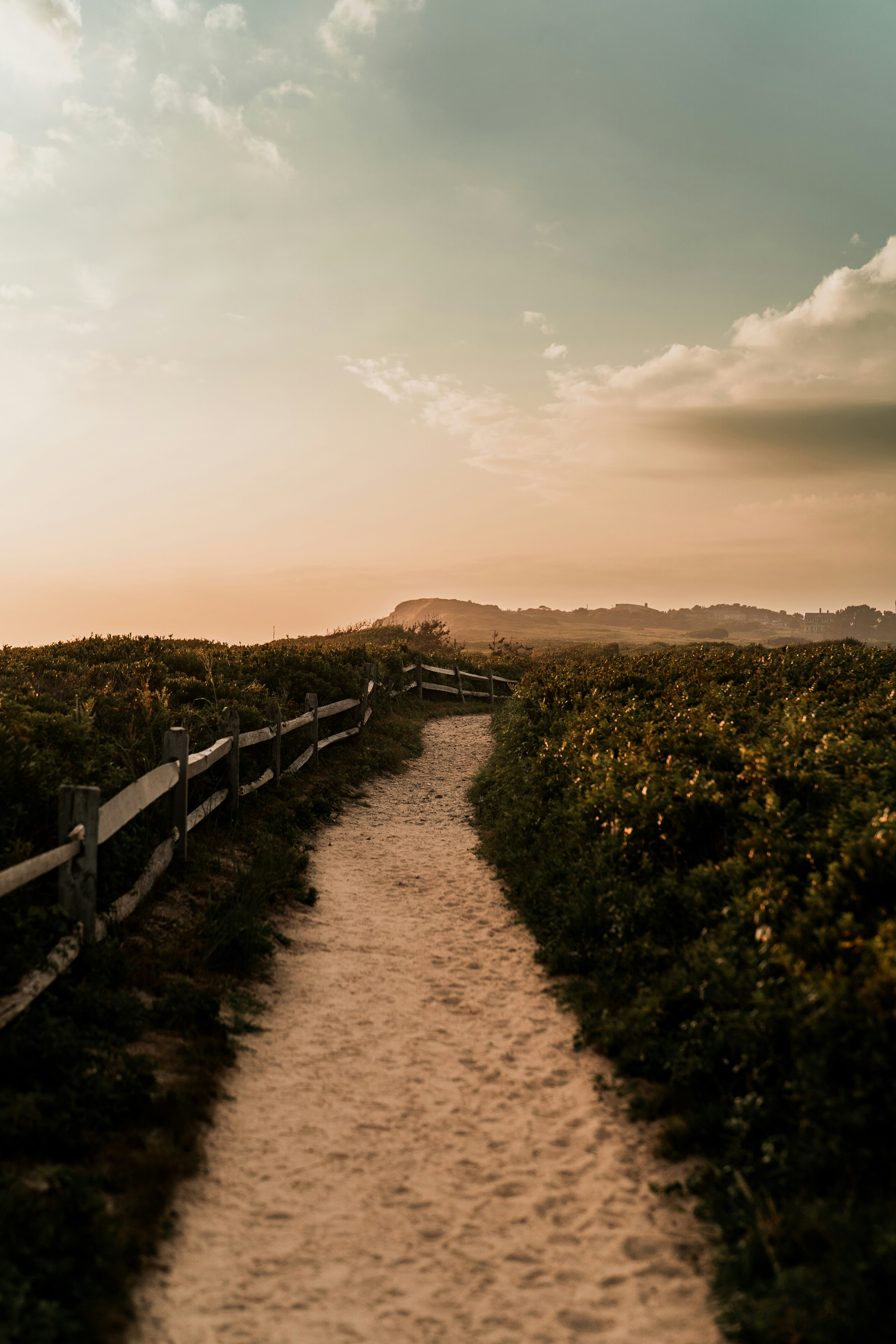 Path to the Distant Dunes at Golden Hour