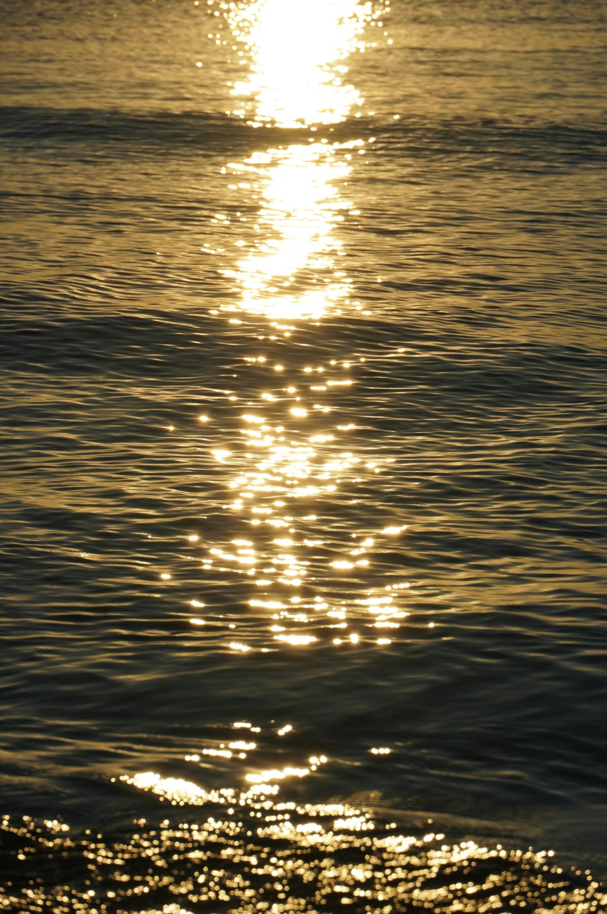 Gleaming Ribbon: Sunset Light Dancing on Gentle Waves