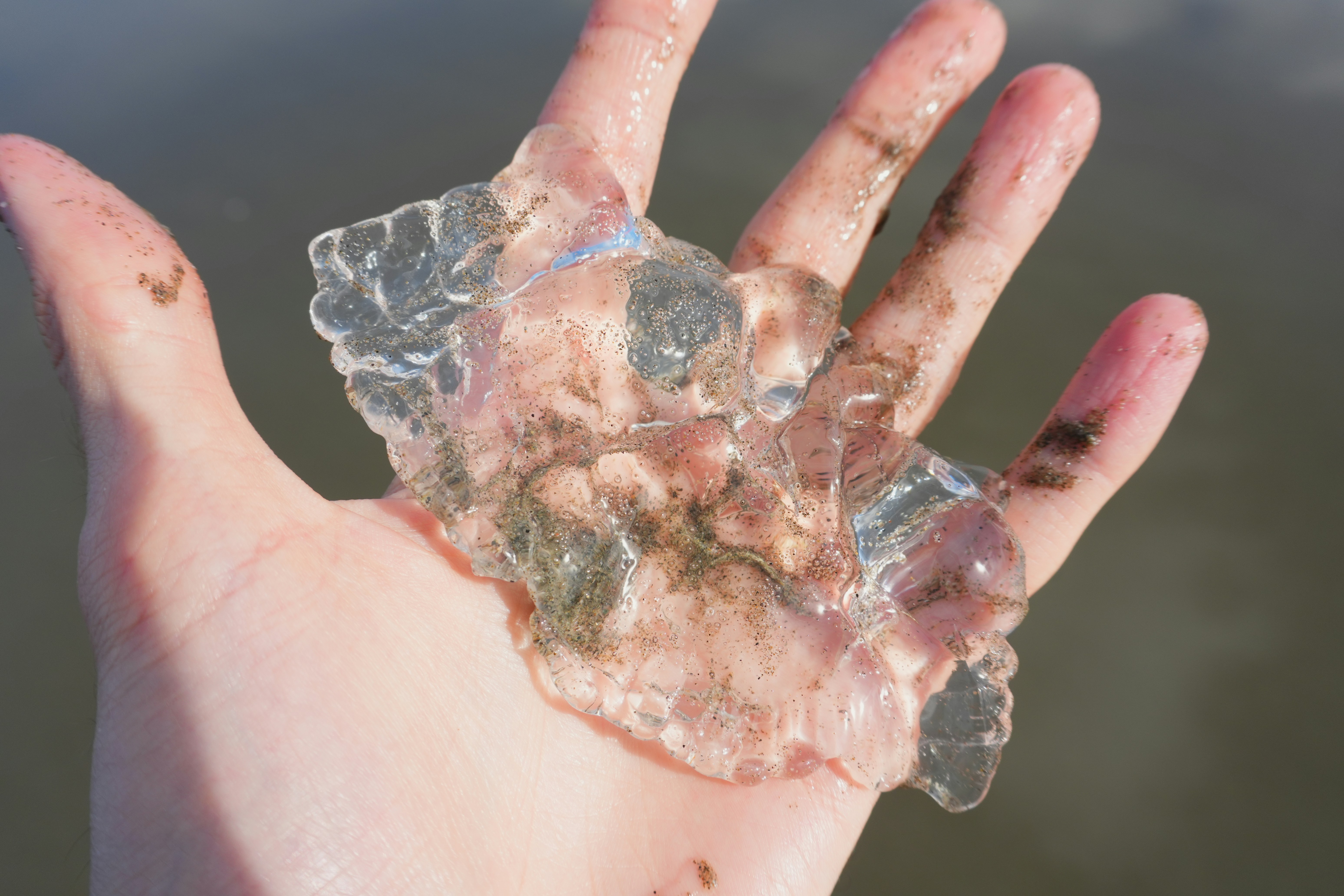 Ice fragment held high: a glistening shard resting in a sandy palm