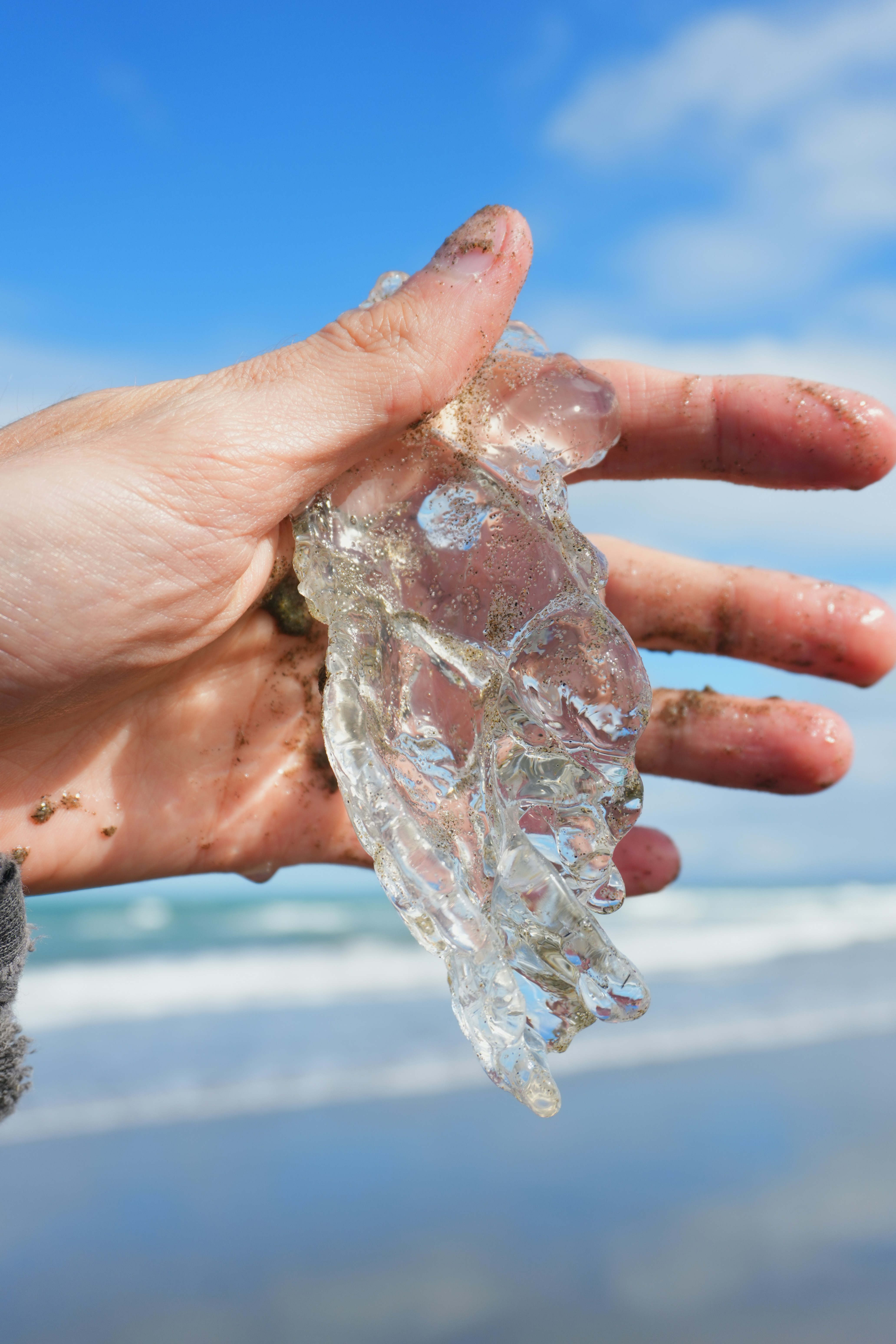 Ice Prism in Hand: A Coastal Moment of Glass and Light