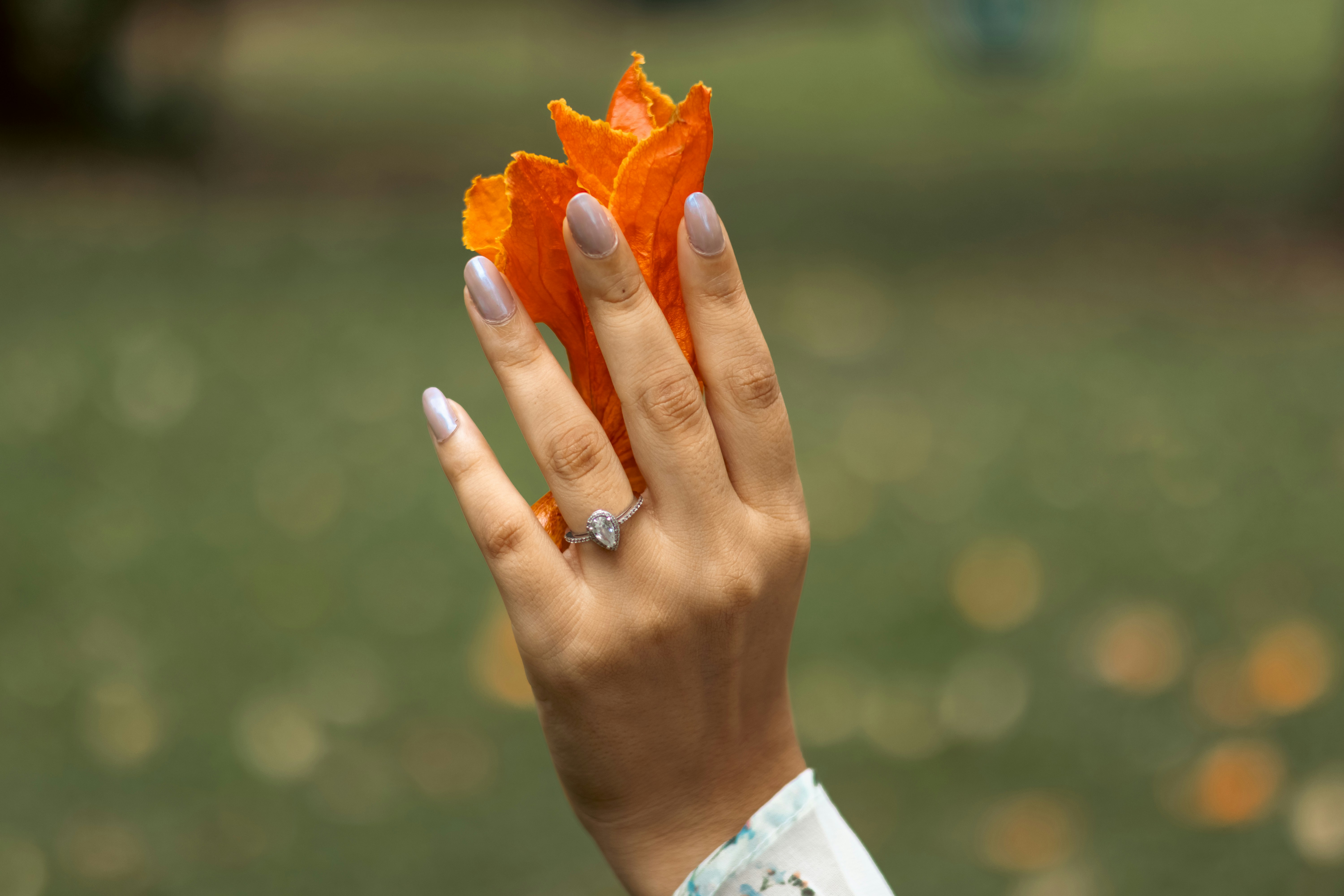 Delicate Hand Offering an Autumn Leaf