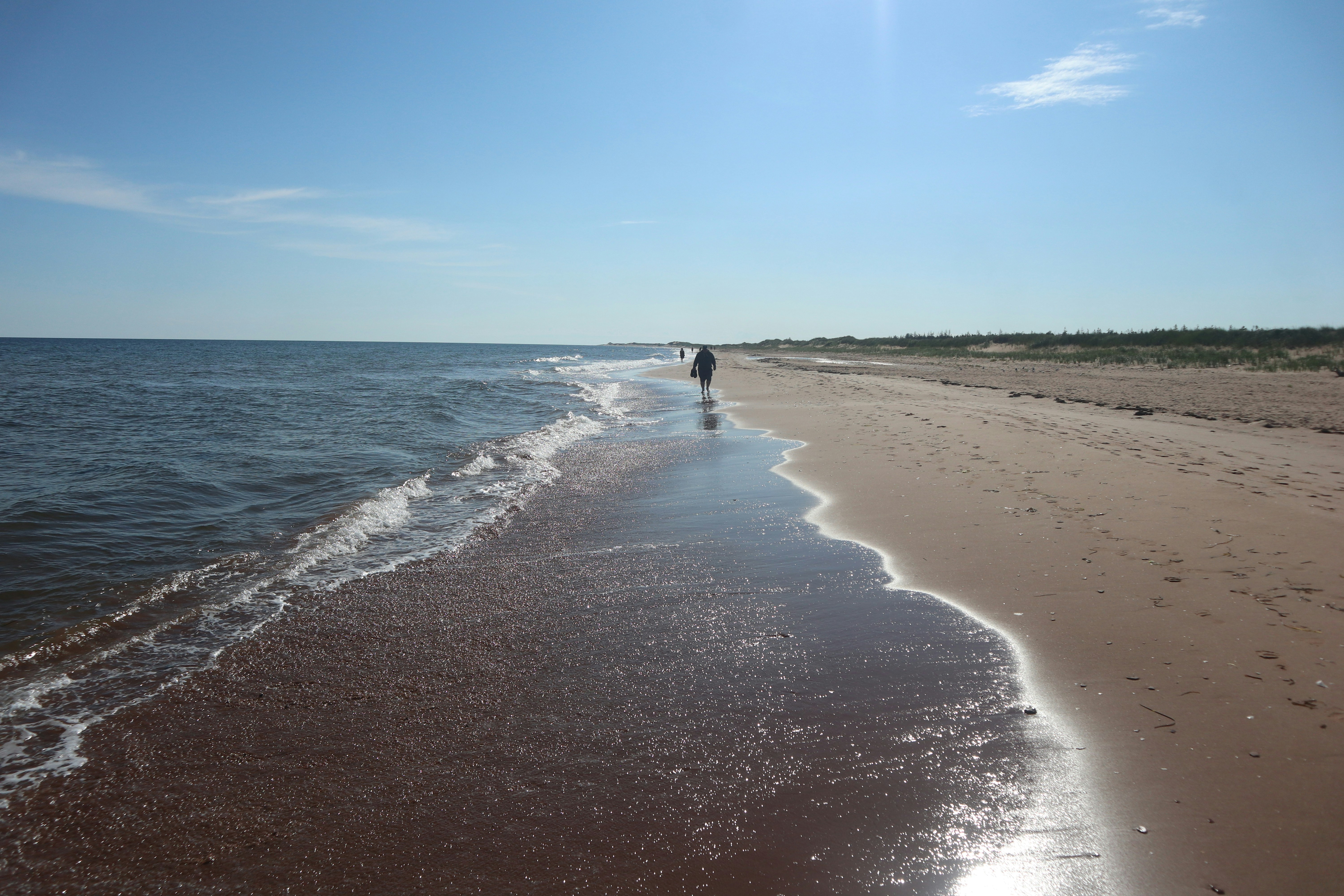 Lonely Walker along a Quiet Shore