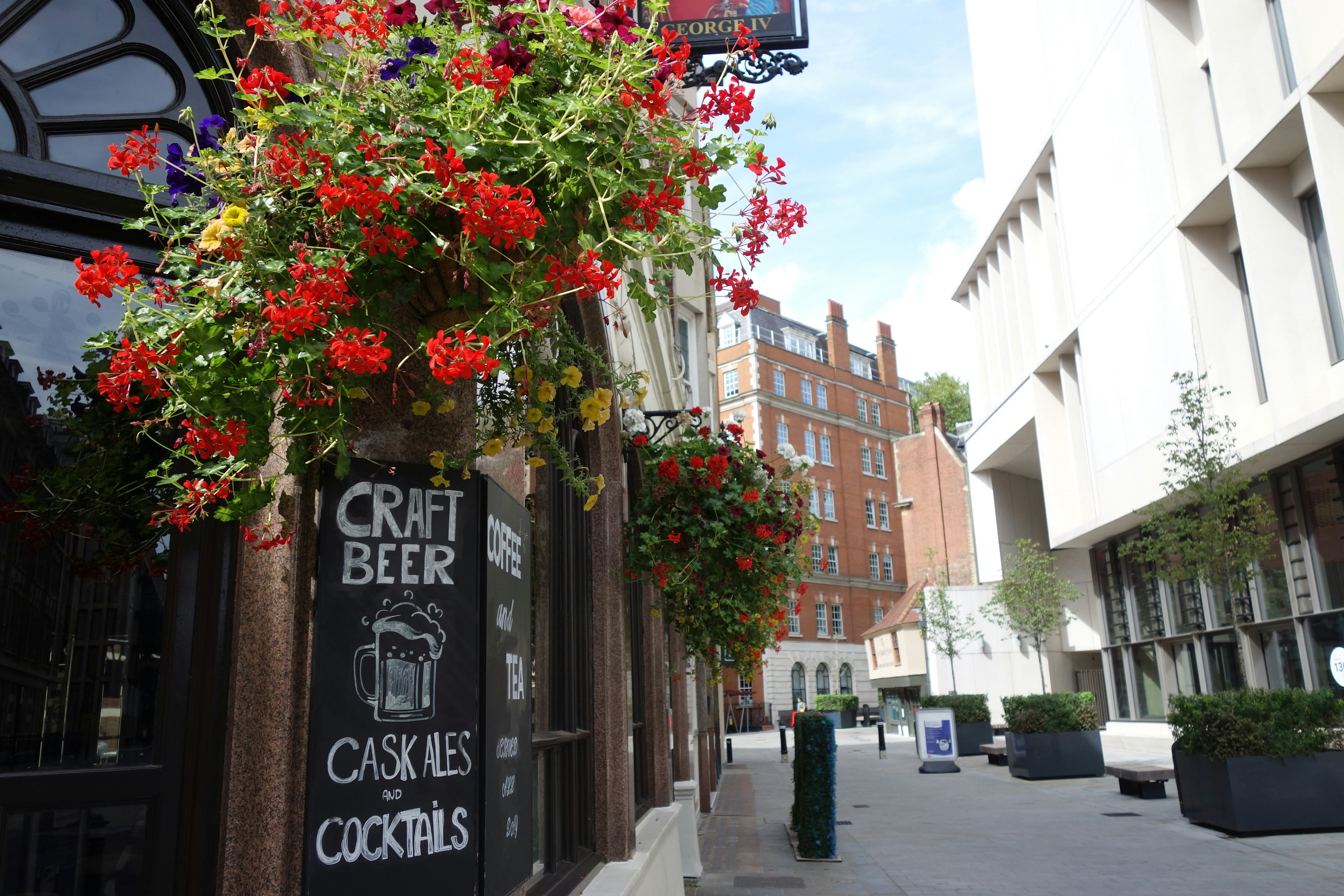 Floral Balcony Overhang Framing an Urban Street Scene