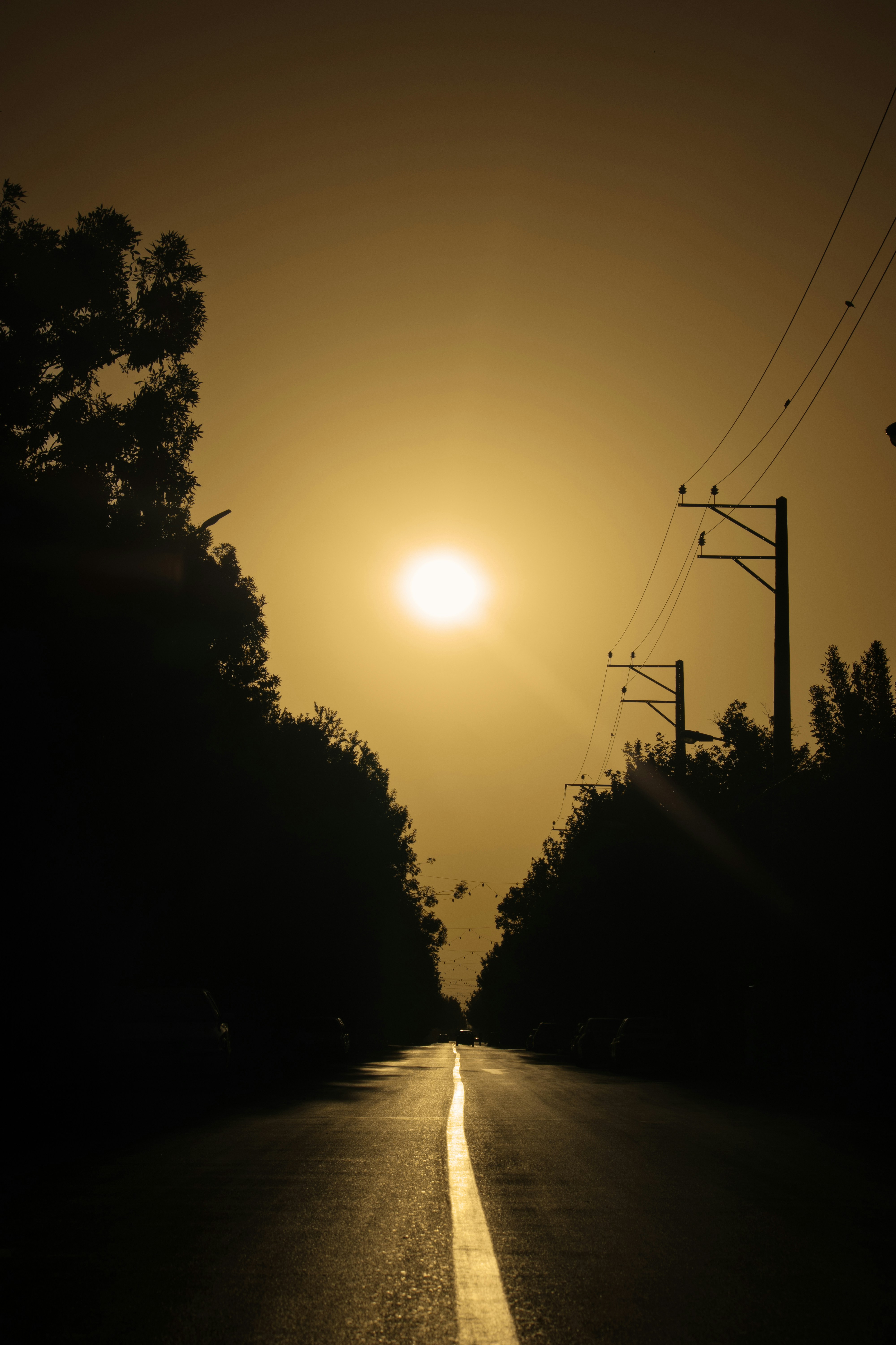 A road stretching toward a low sun between silhouetted trees and utility poles