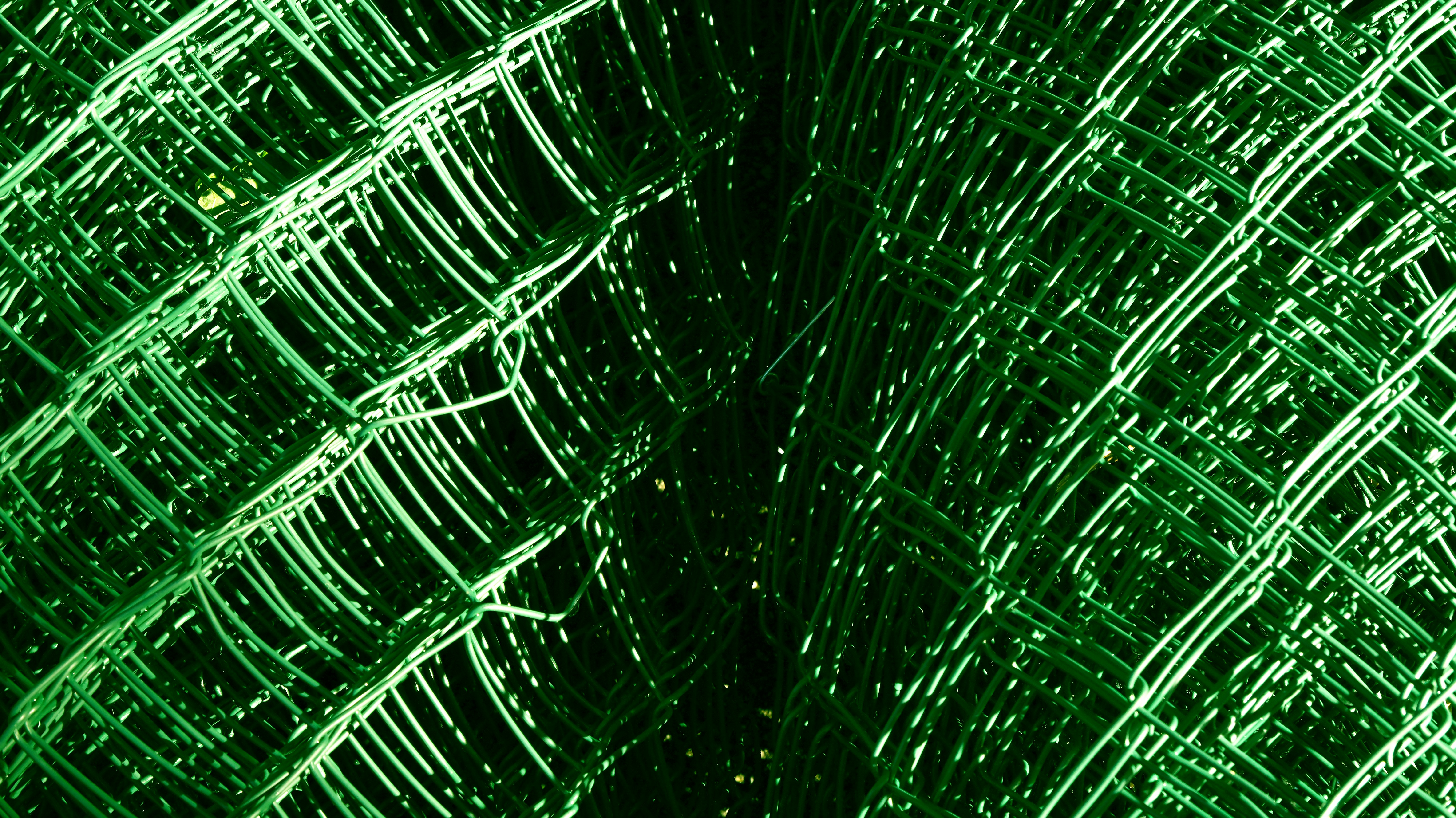Emerald Veins: Macro Close-Up of a Green Palm Frond's Veins