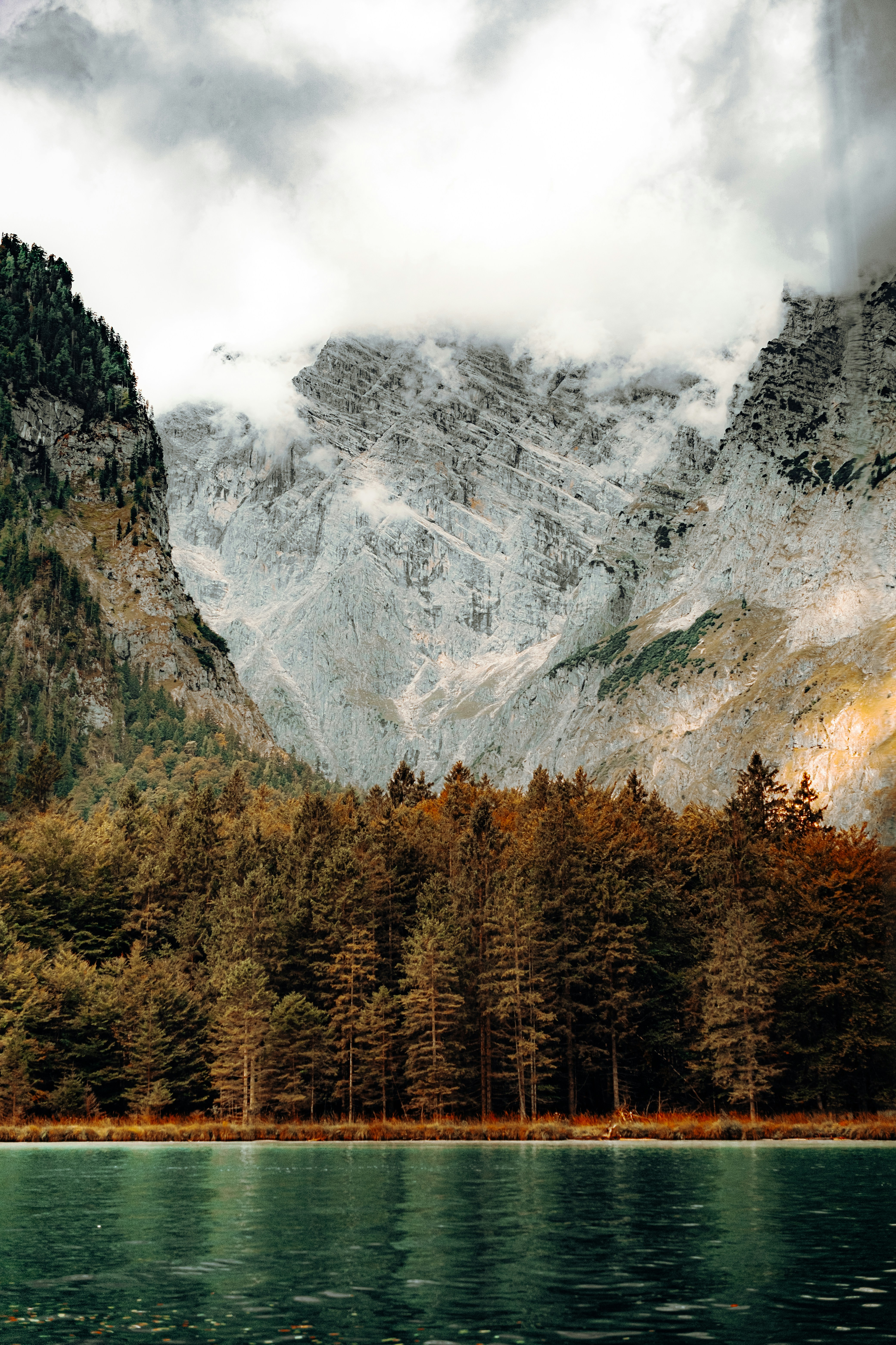 Edge of Quiet Depths: Pines, Lake, and Misty Peaks