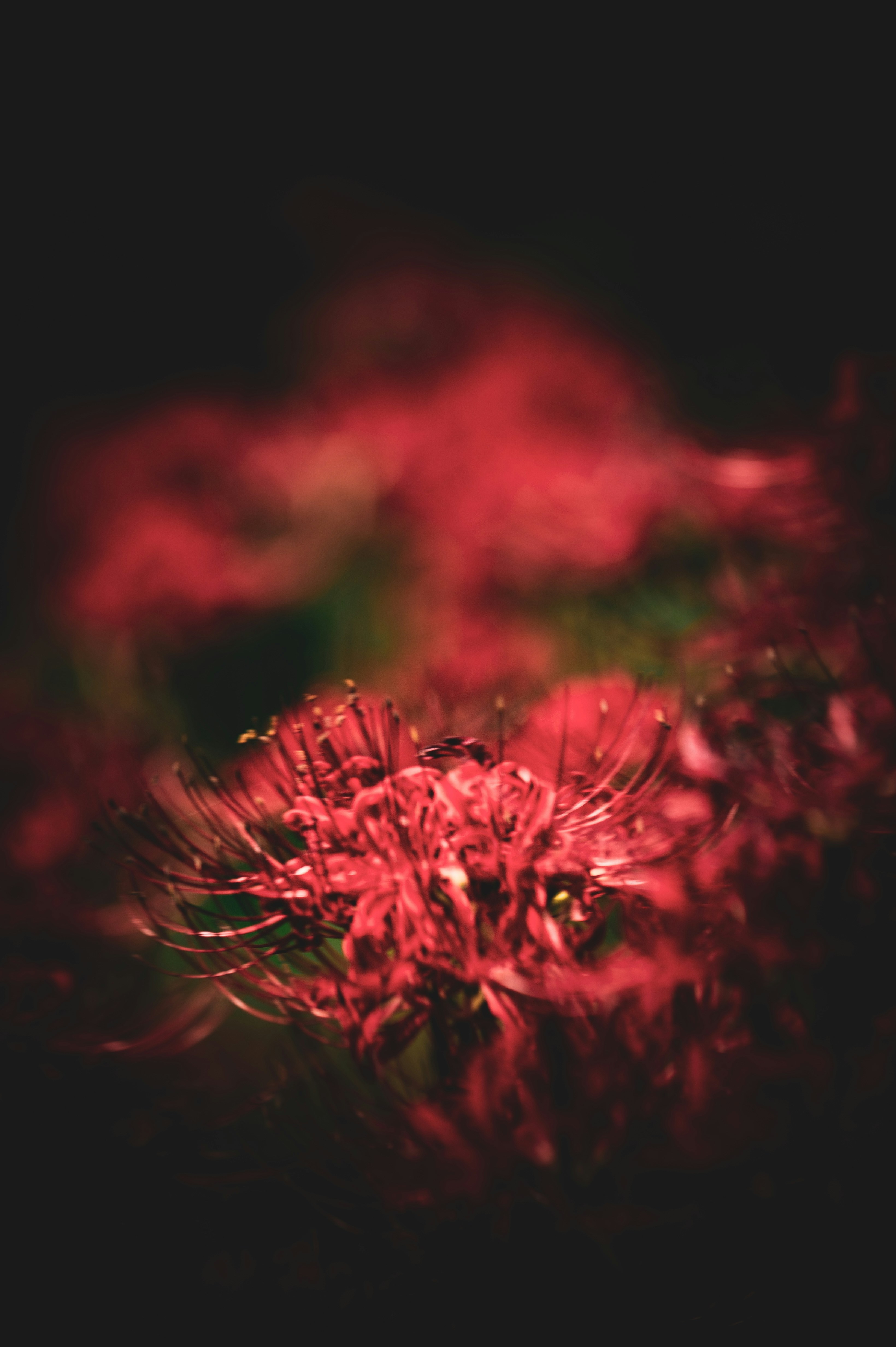 Photo by 5010 with Nikon Df