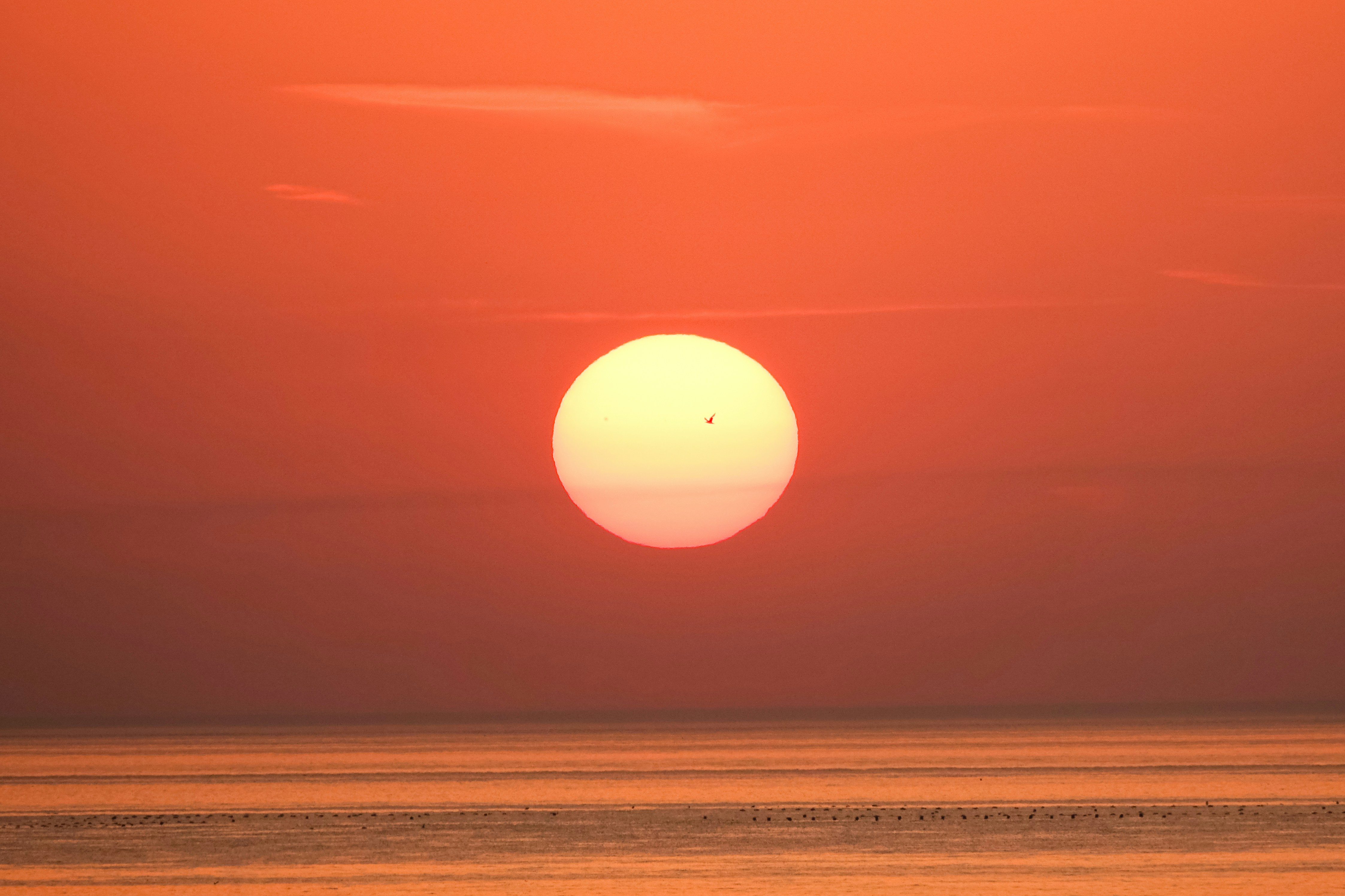 Sunset Sphere: The Quiet Moment Over the Horizon