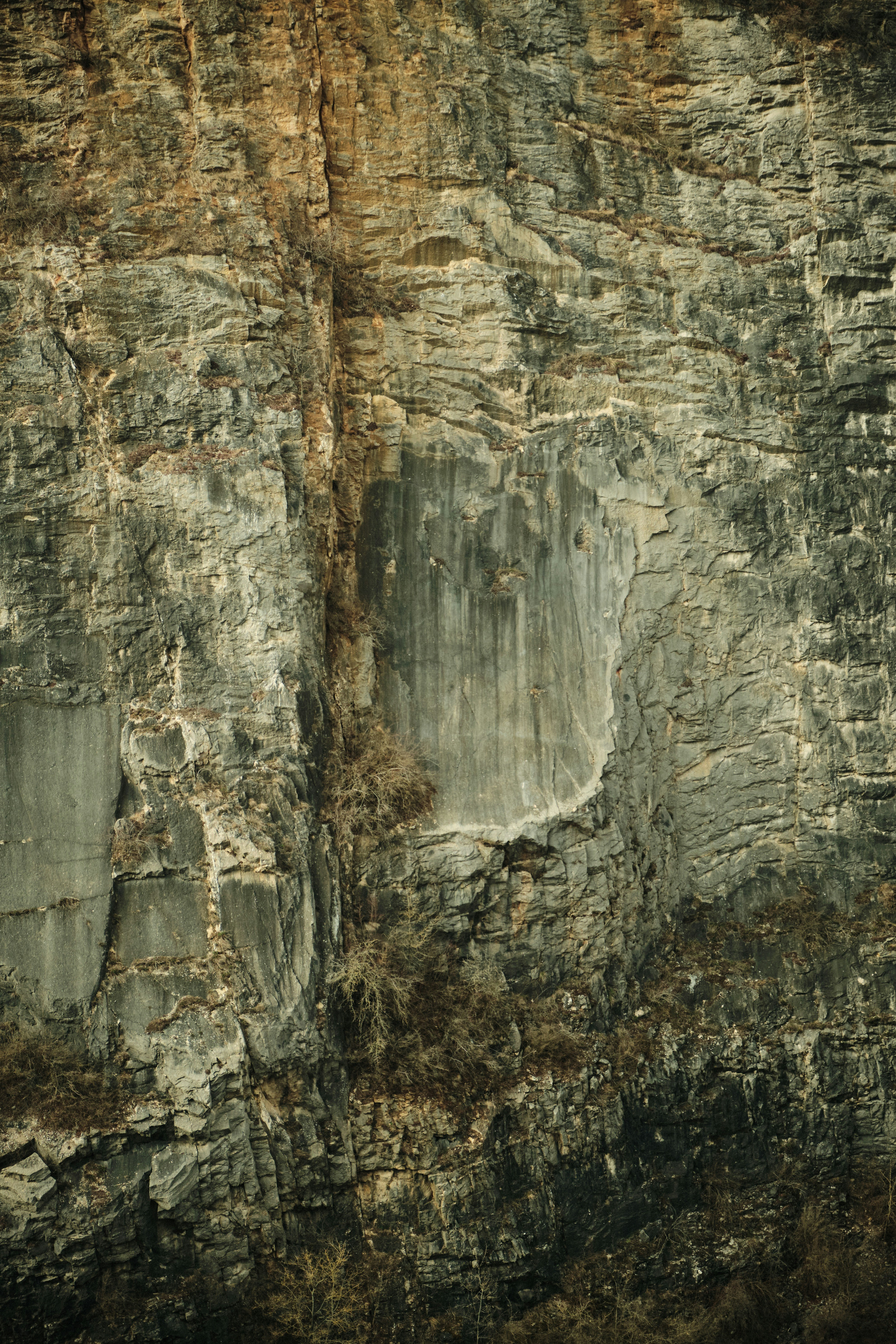 Stone Portrait: A Vertical Cliff Face Carved by Time