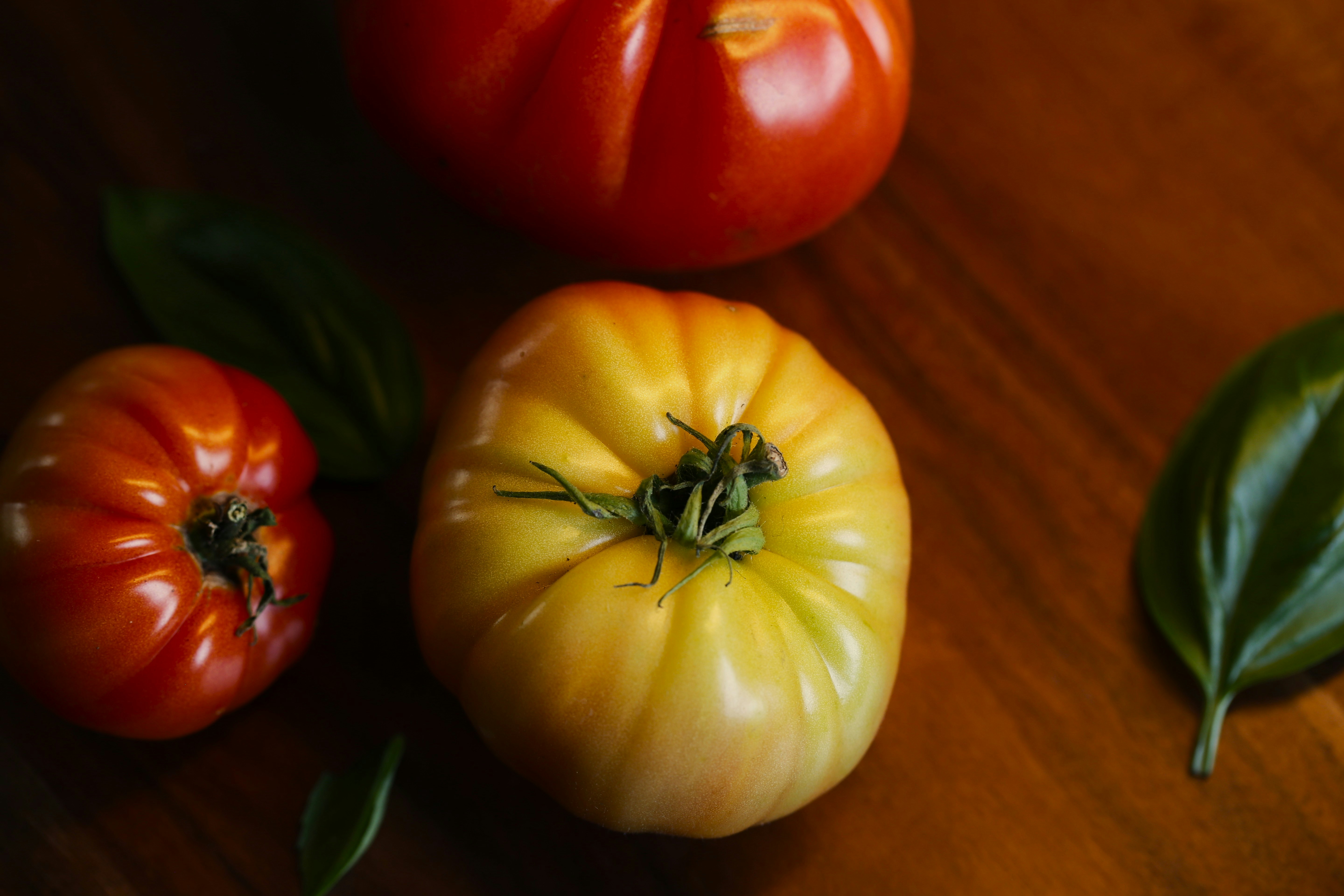 Sunlit Heirloom Trio: Creamy Yellow and Crimson Tomatoes on Warm Wood