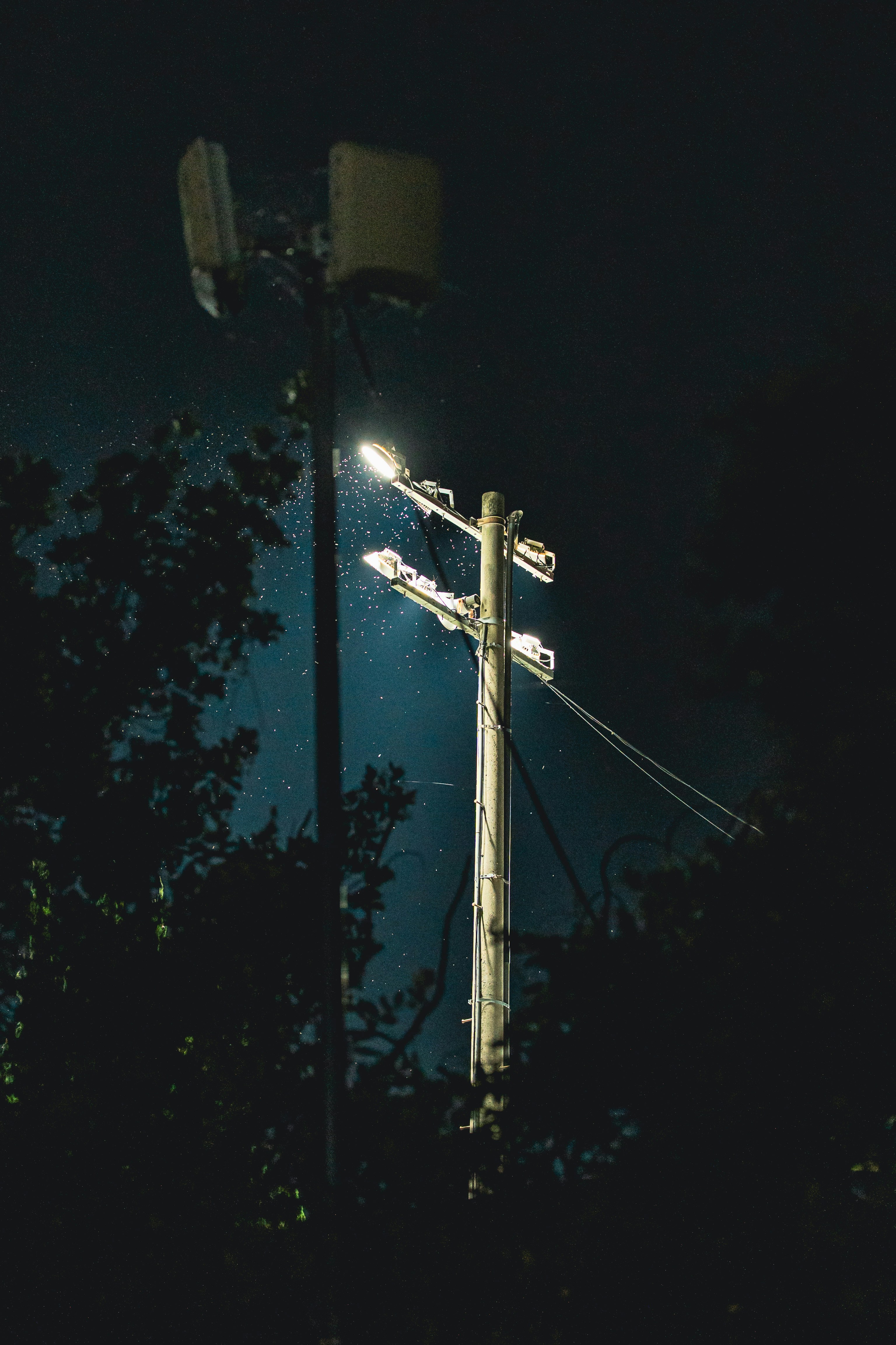 Insects swarming around a bright utility pole light at night