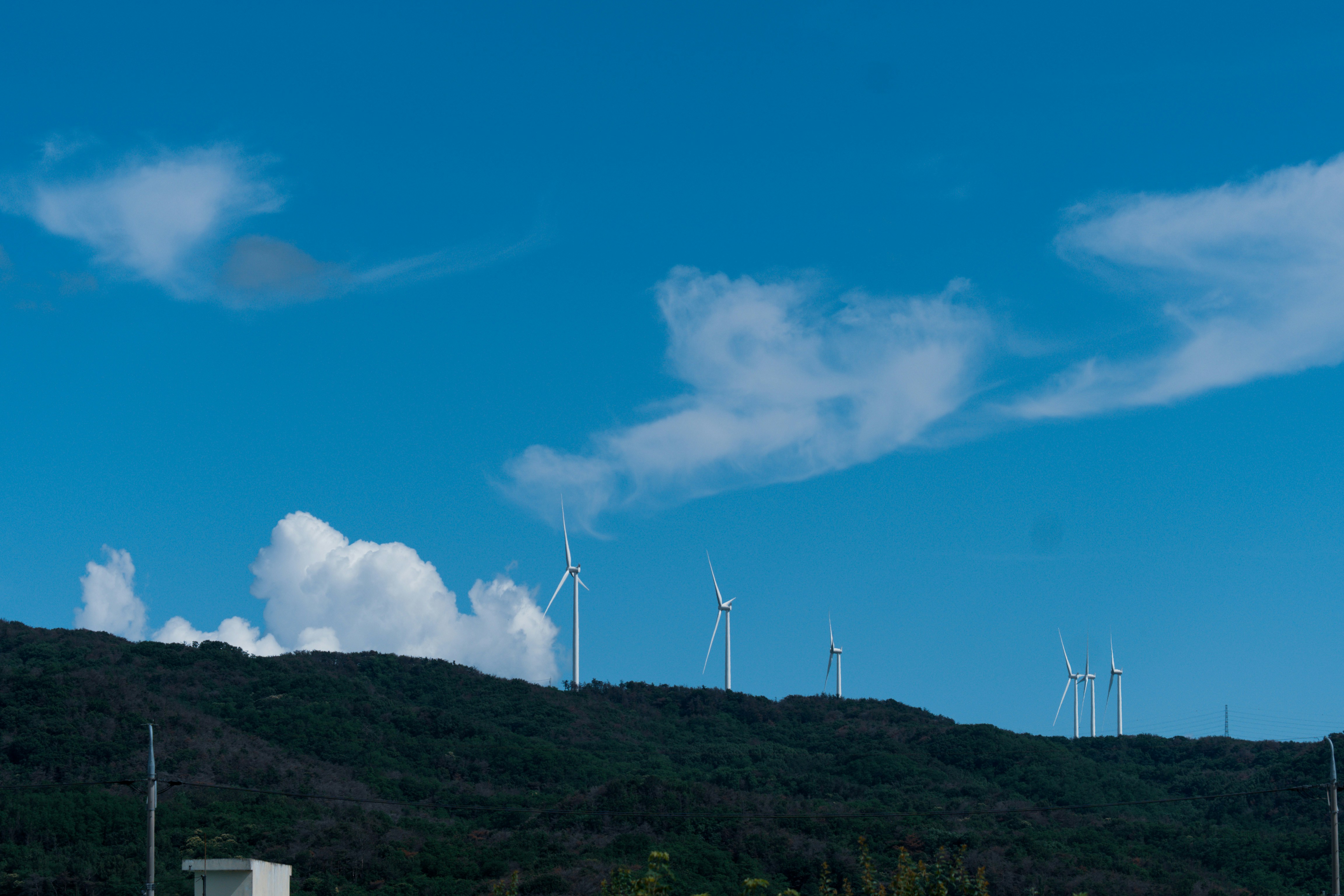 Windward Sentinels: Wind Turbines Quietly Crown a Hill