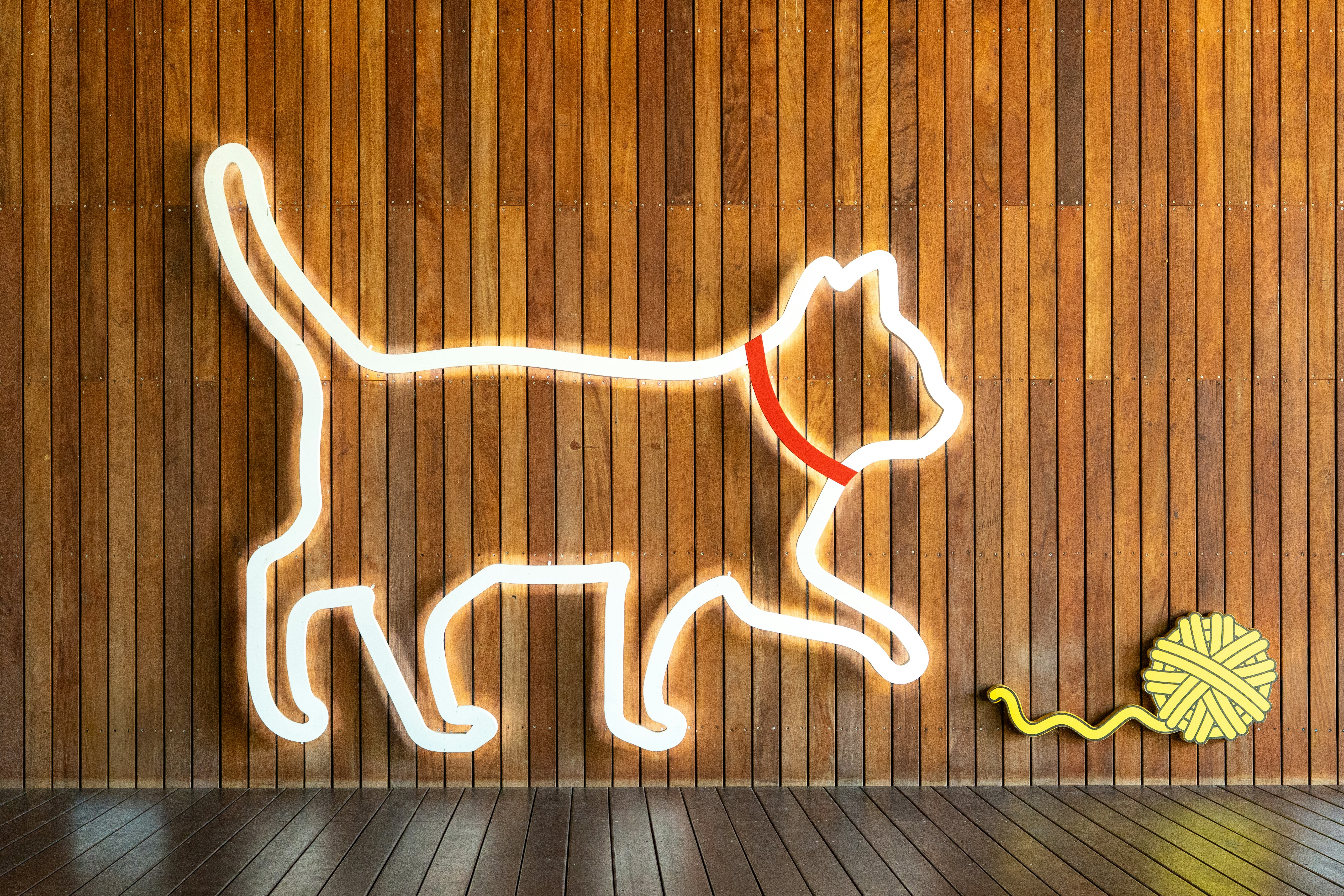A white neon cat outline with a red collar beside a yellow yarn ball